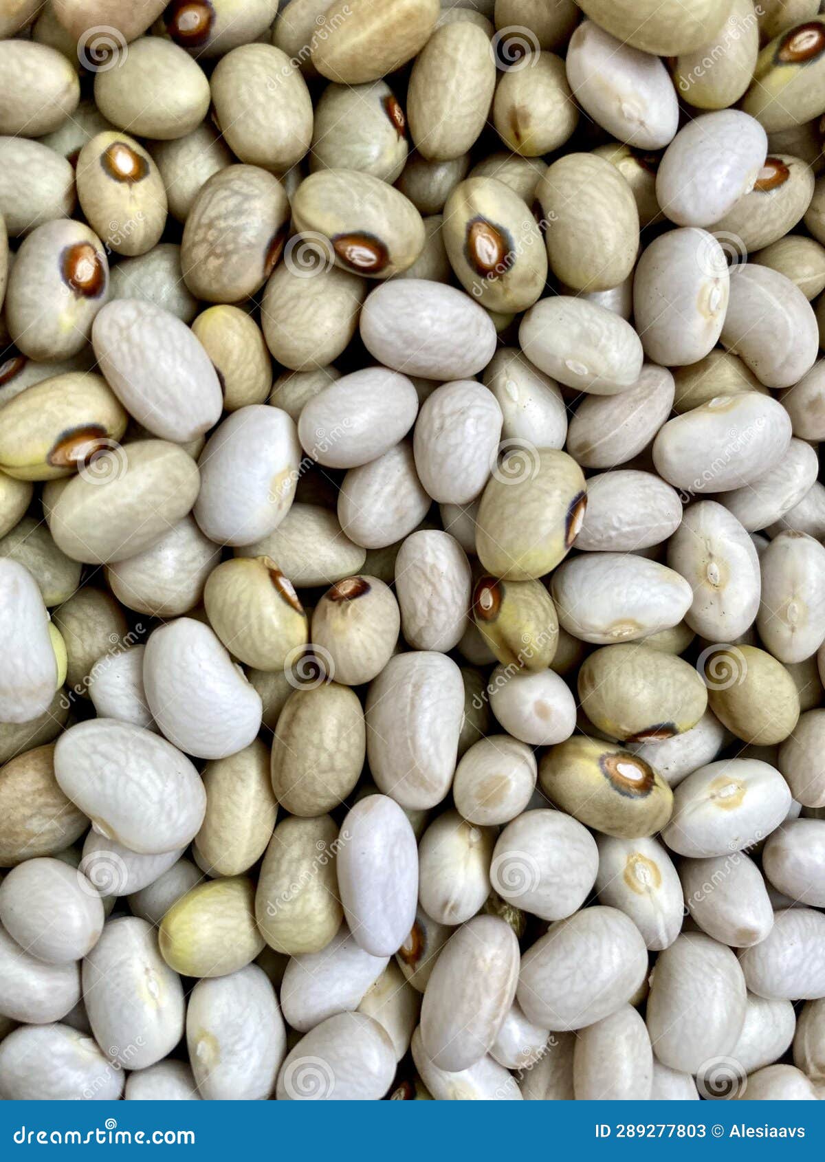 White Bean Texture Closeup, Natural Background Stock Image - Image of ...