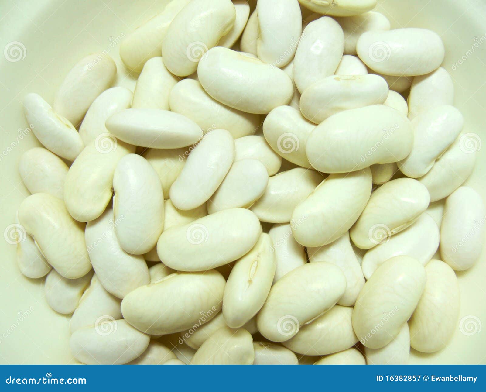 White beans stock image. Image of beans, close, bowl - 16382857