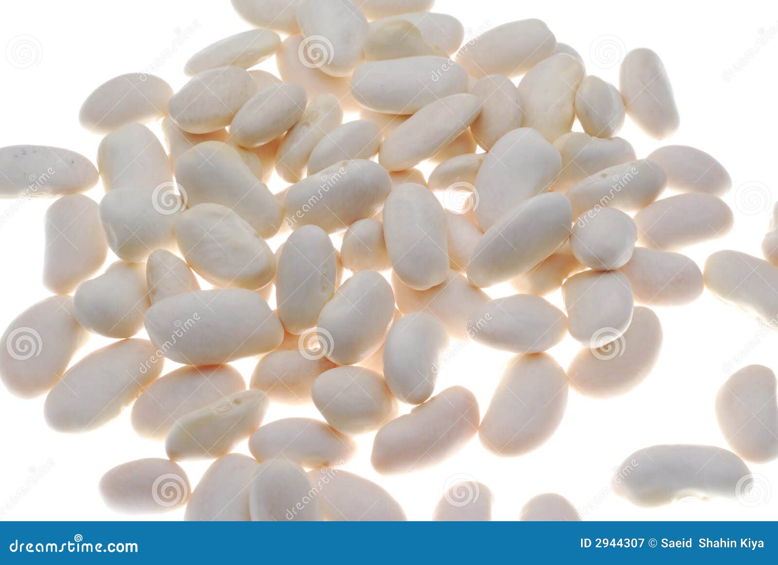 White beans stock image. Image of closeup, still, life - 2944307