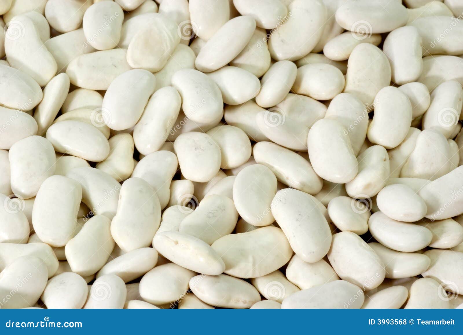 White Beans stock photo. Image of legume, appetizing, vegetable - 3993568