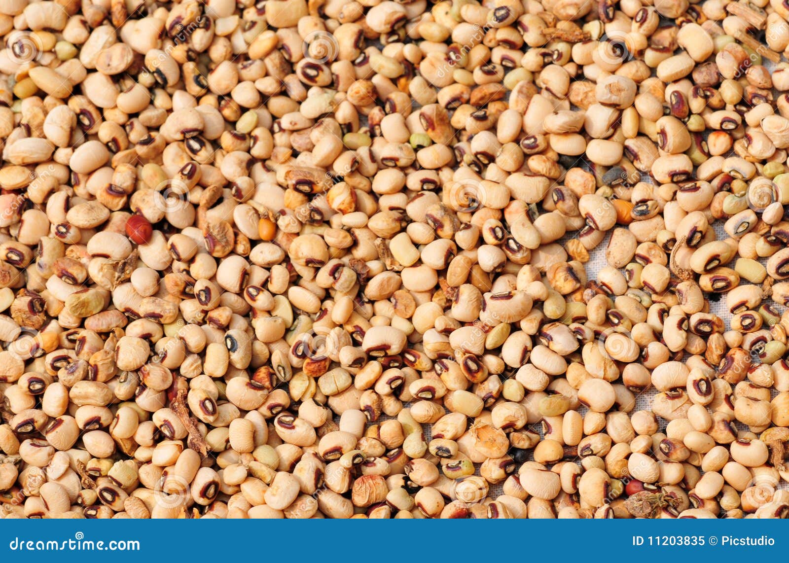 White beans background stock image. Image of small, heath - 11203835