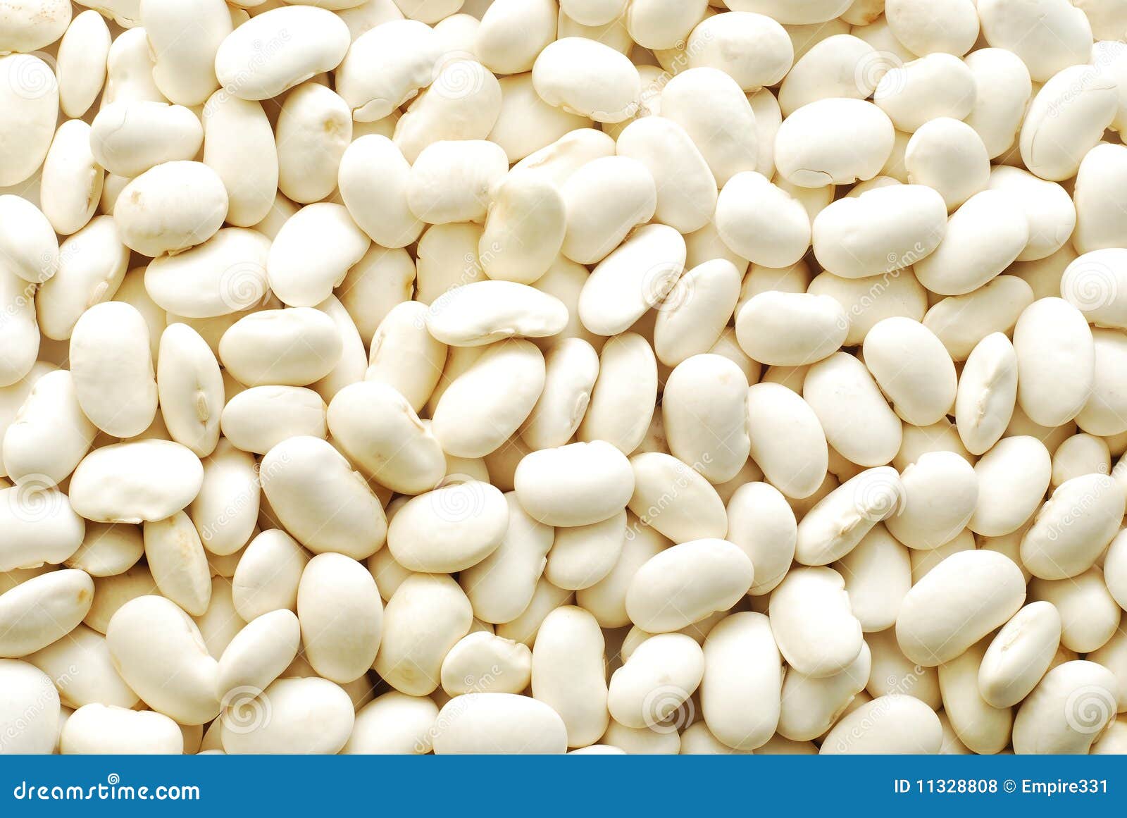 White beans background stock photo. Image of natural - 11328808