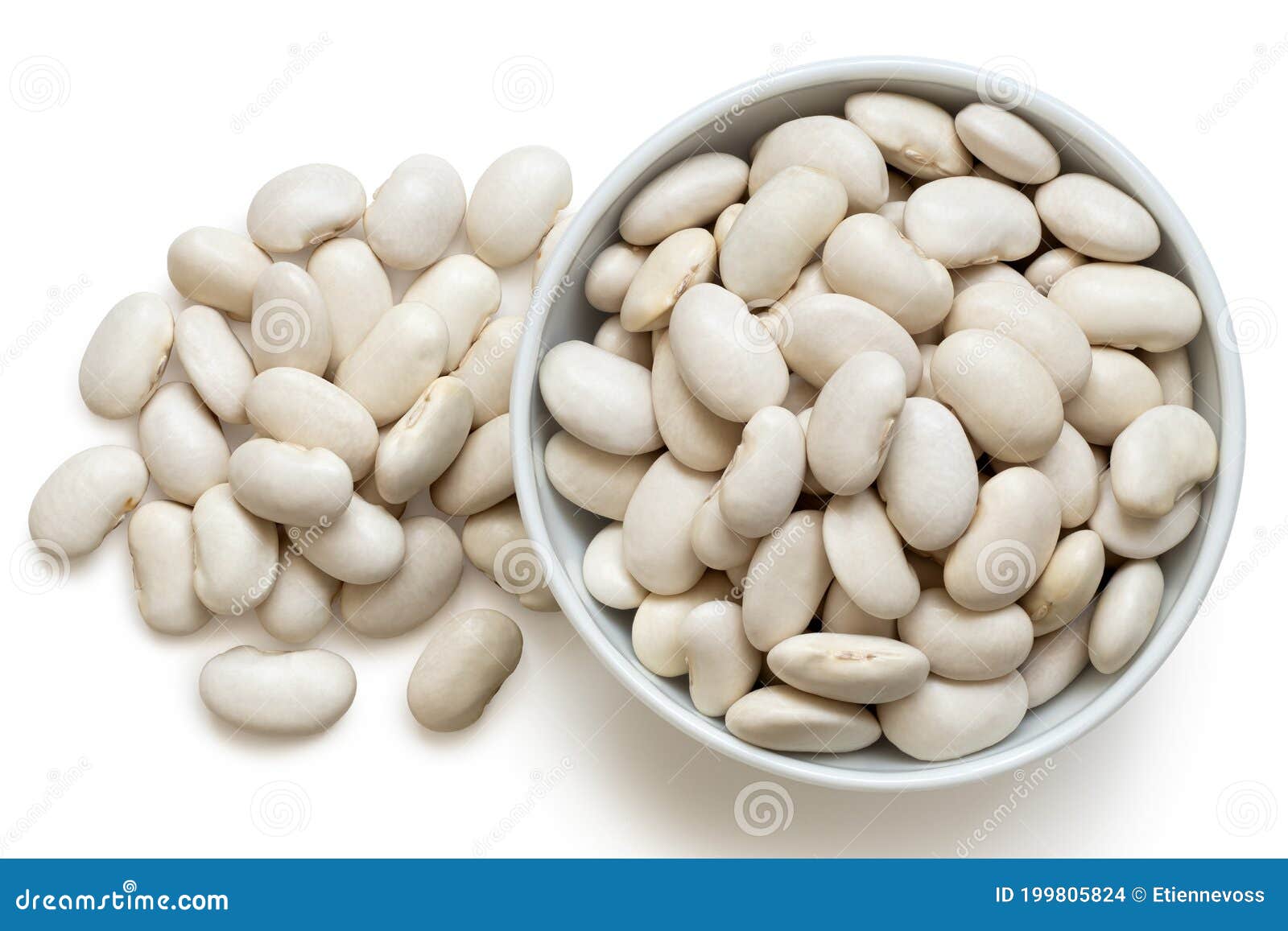 White beans stock photo. Image of phaseolus, kidney - 199805824