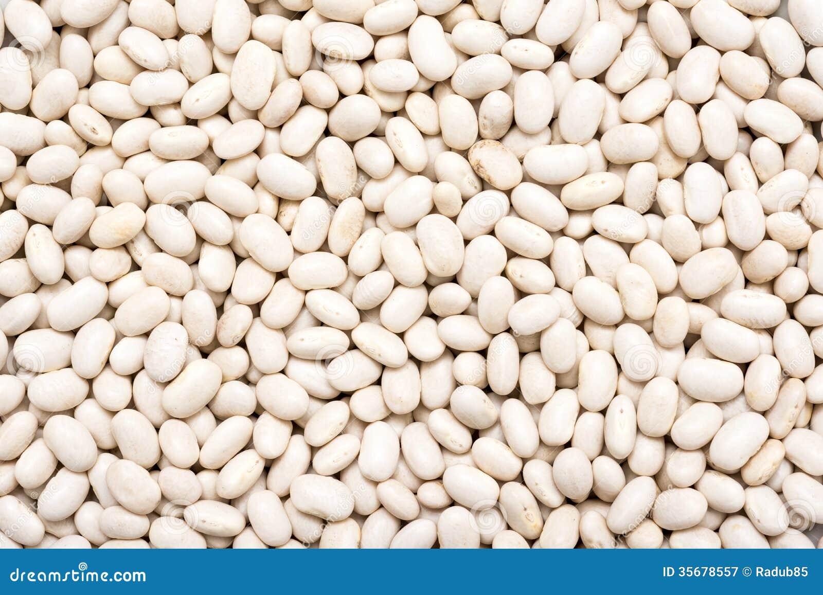 White Beans stock image. Image of organic, northern, close - 35678557