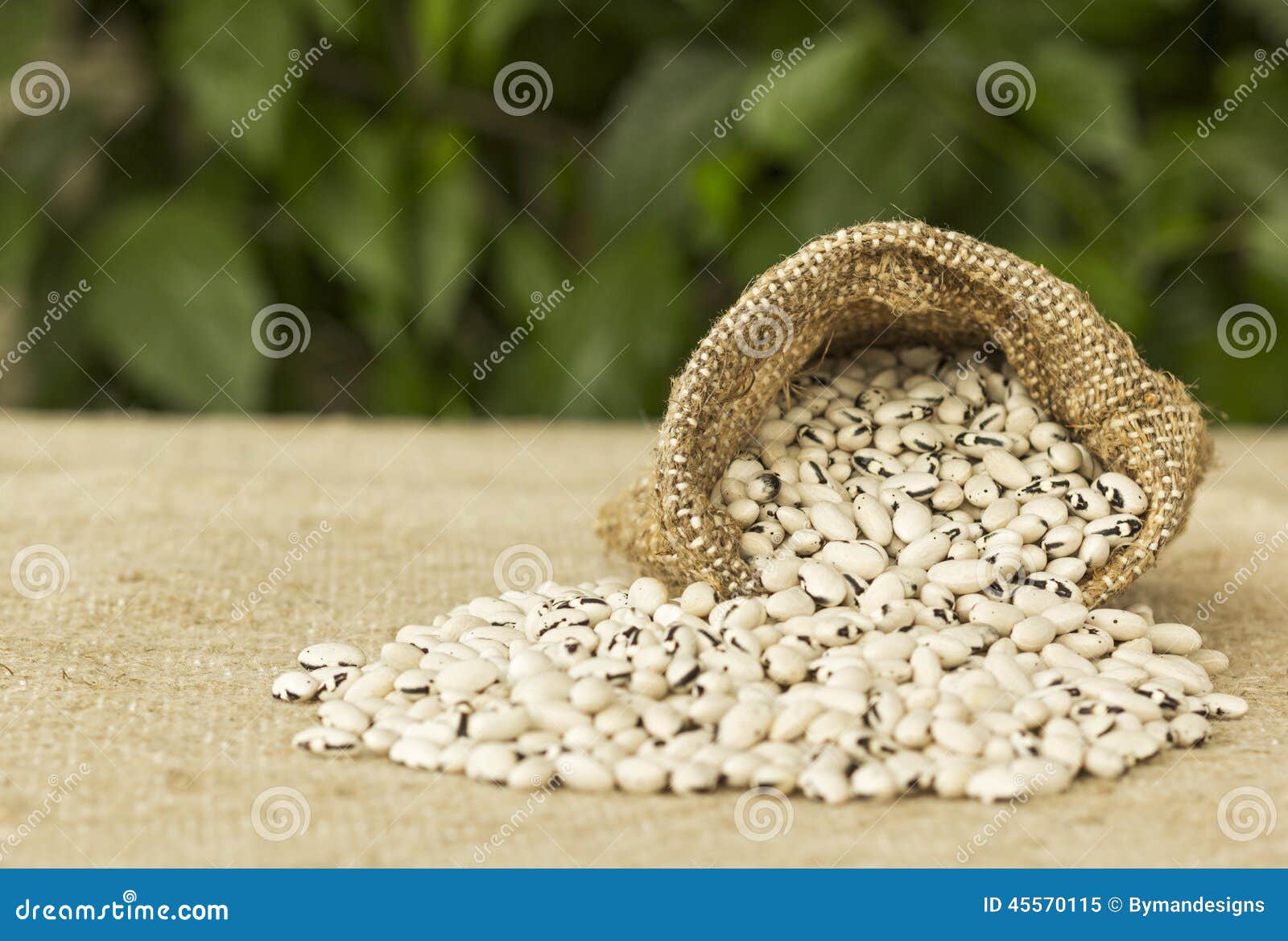 White beans in hessian bag stock image. Image of textile - 45570115