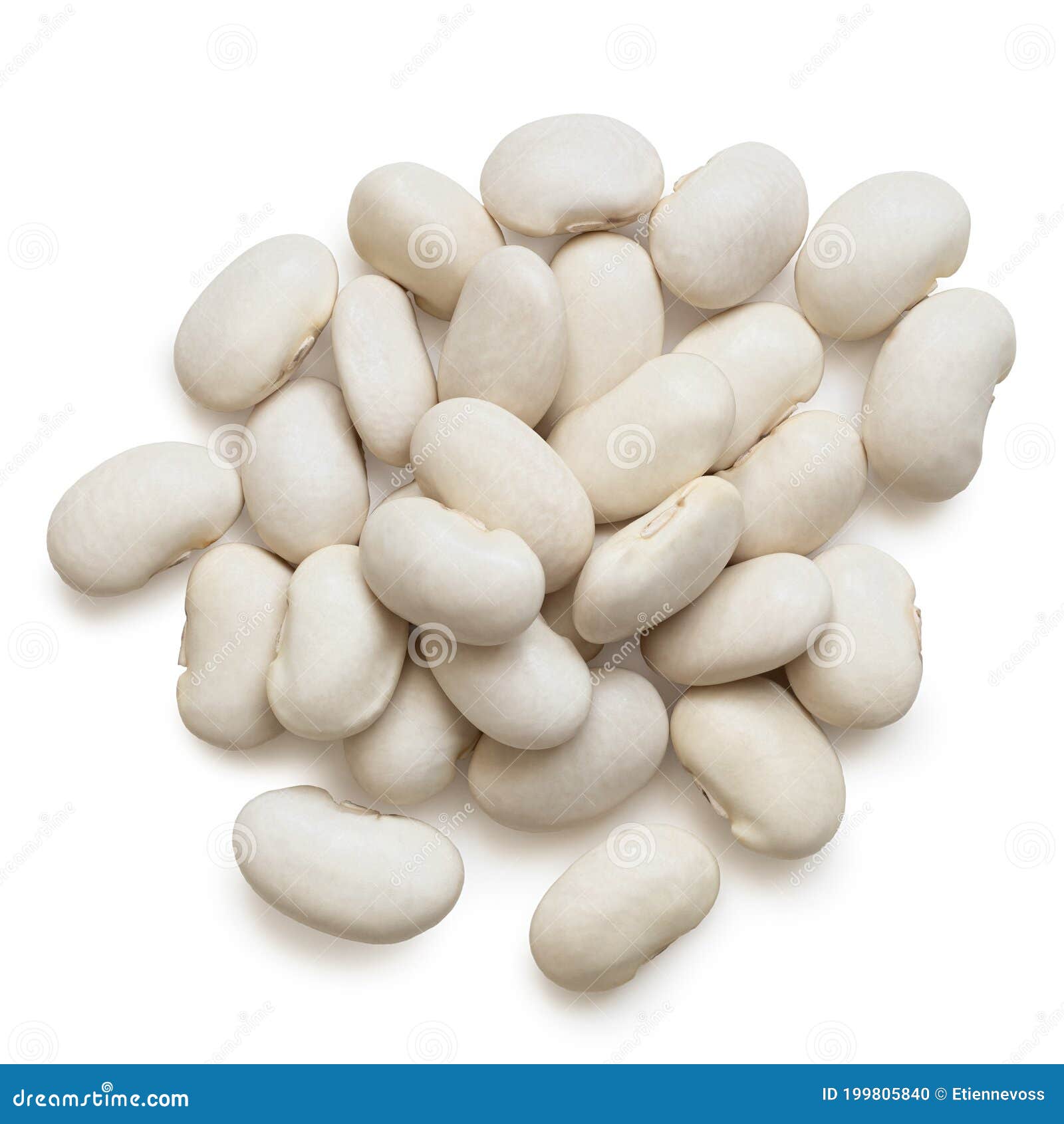 White beans stock photo. Image of lunatus, white, heap - 199805840