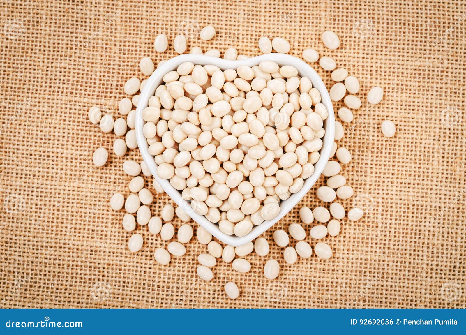White Beans Seeds in Whtie Dish. Stock Photo - Image of borlotti ...