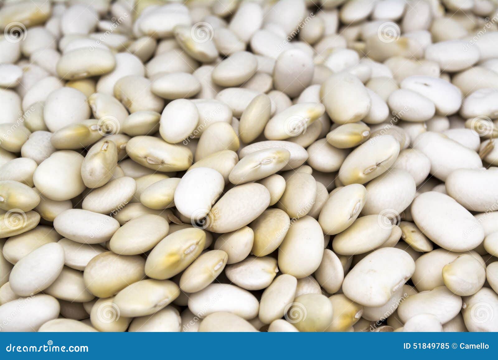 White Beans stock image. Image of grain, health, porotos - 51849785