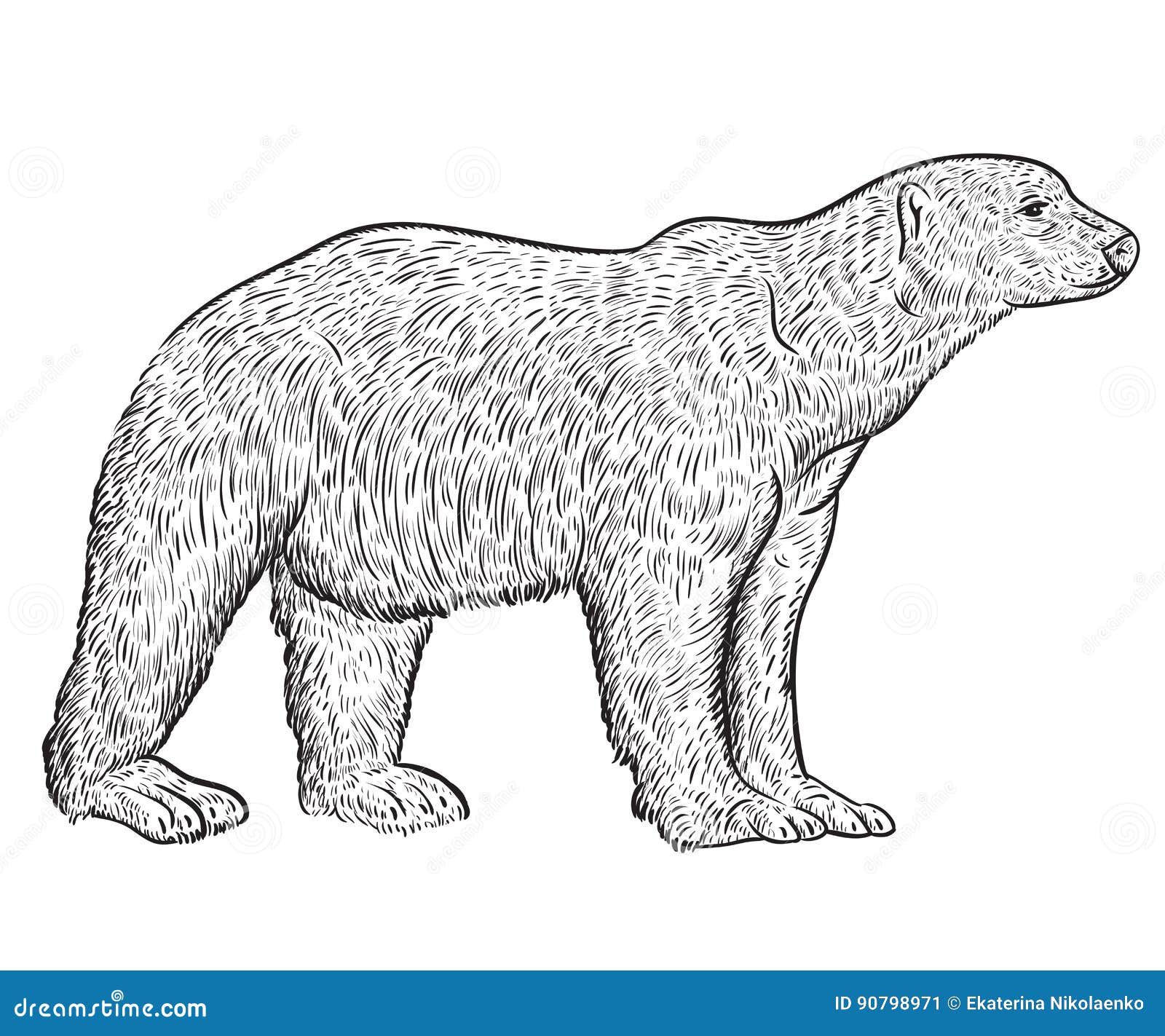 White bear. stock vector. Illustration of face, design - 90798971