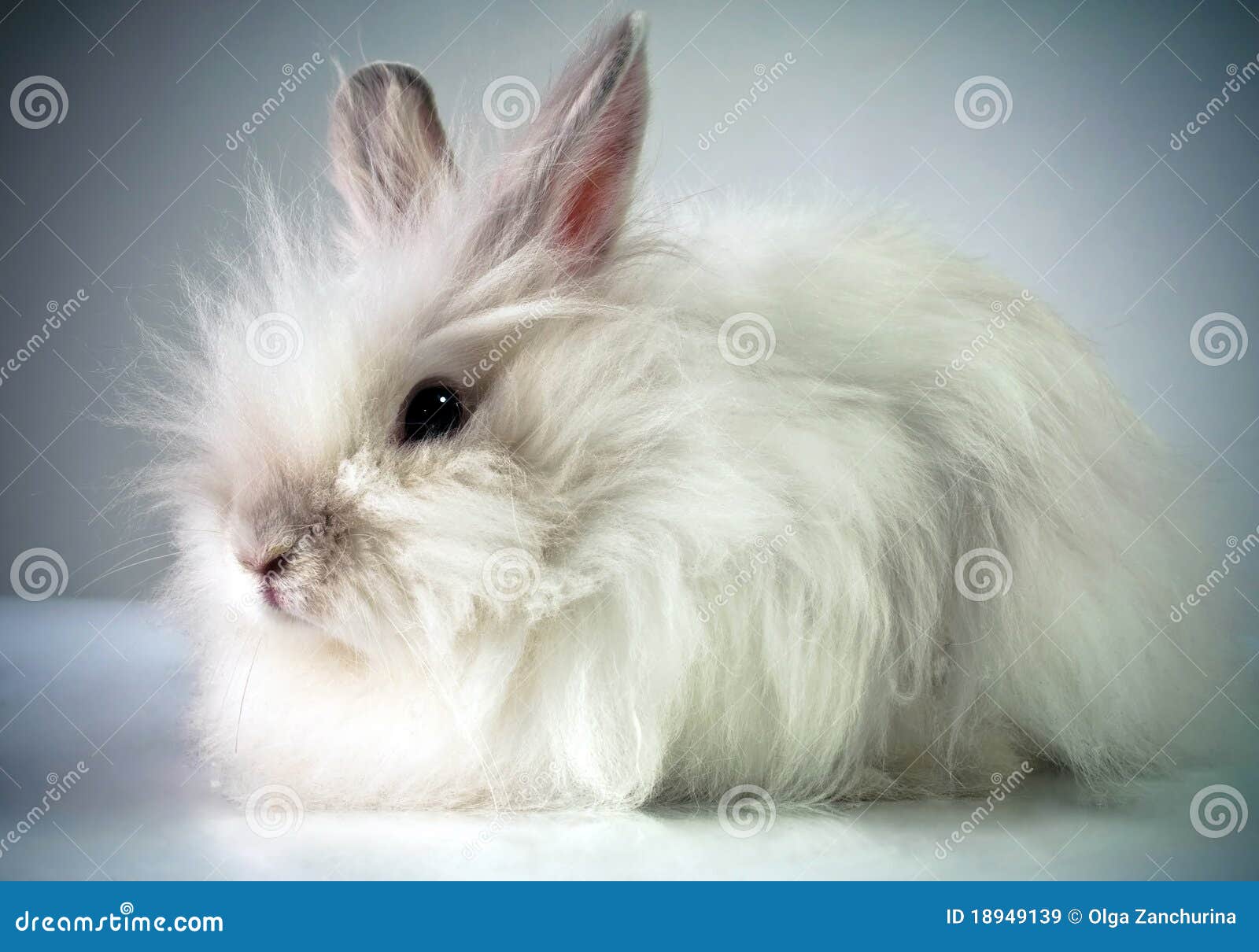 Beautiful Fluffy Grass Grass On The River. Background. Stock Photo ...