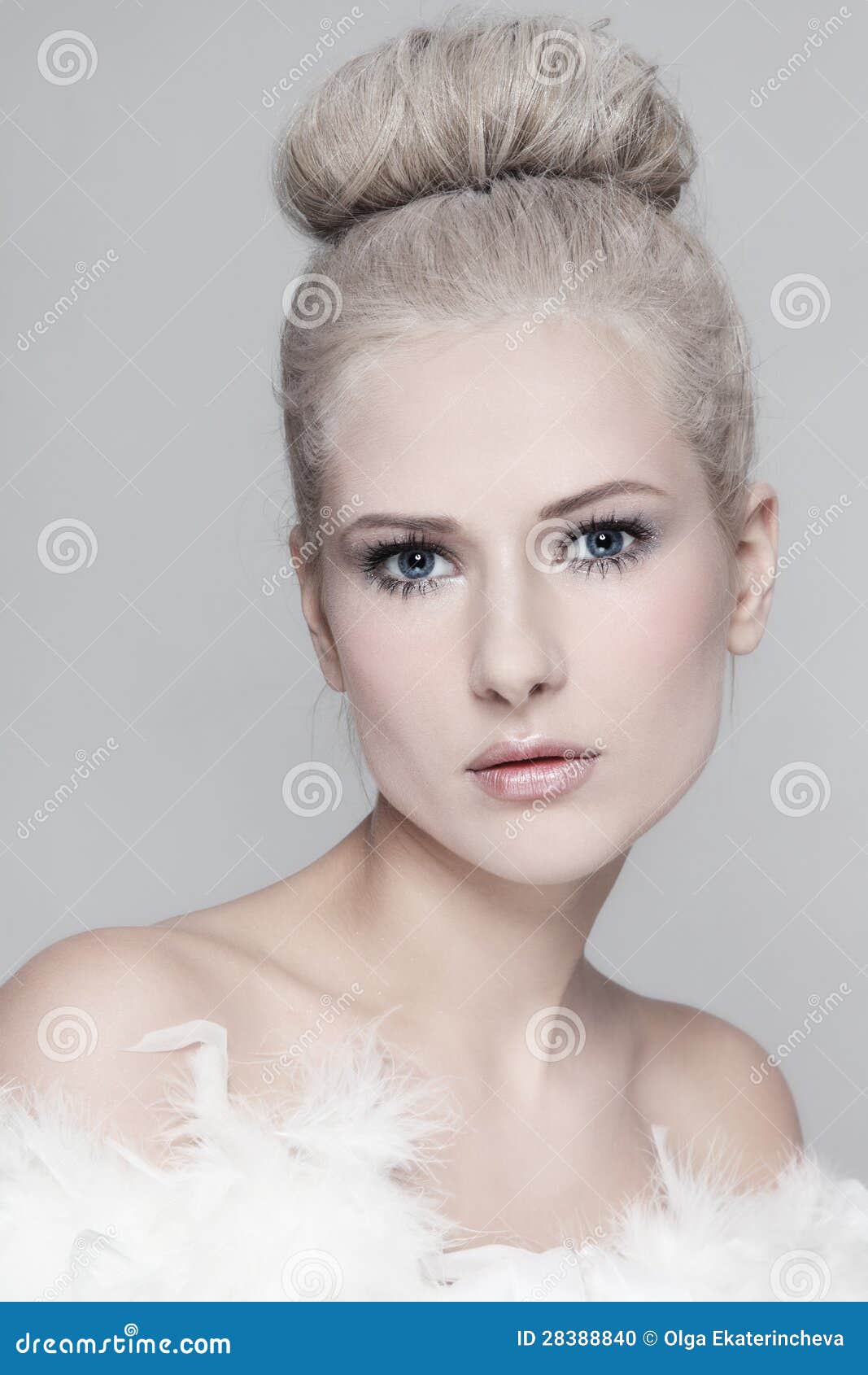 White beauty stock photo. Image of model, elegance, grey - 28388840