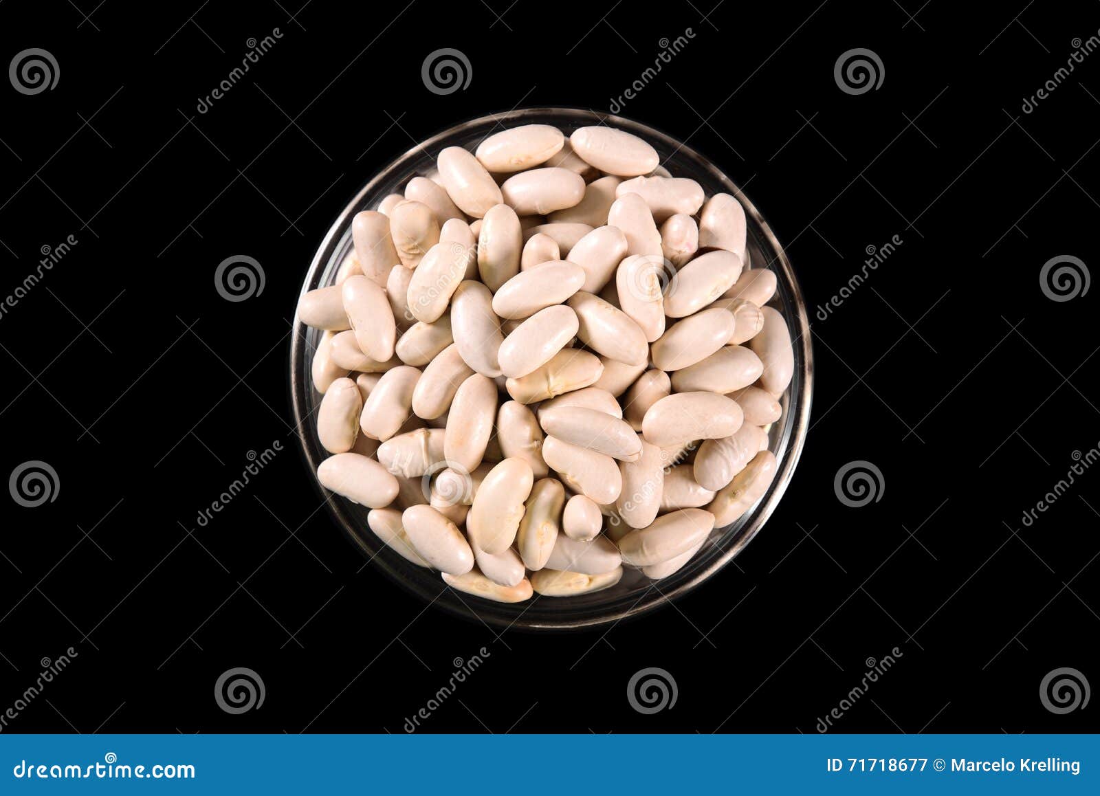 White beens stock image. Image of isolated, background - 71718677