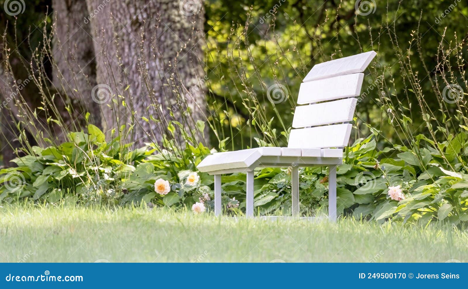 White Bench with the Bush Background Stock Photo - Image of armchair ...