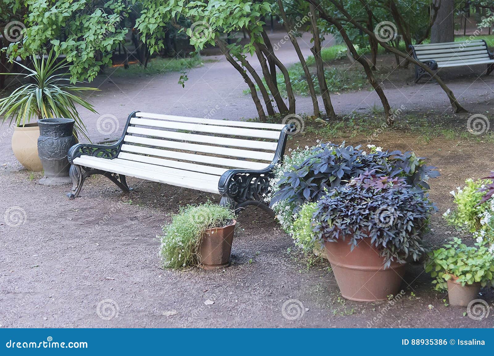 White Bench in Evening Park Stock Photo - Image of evening, close: 88935386