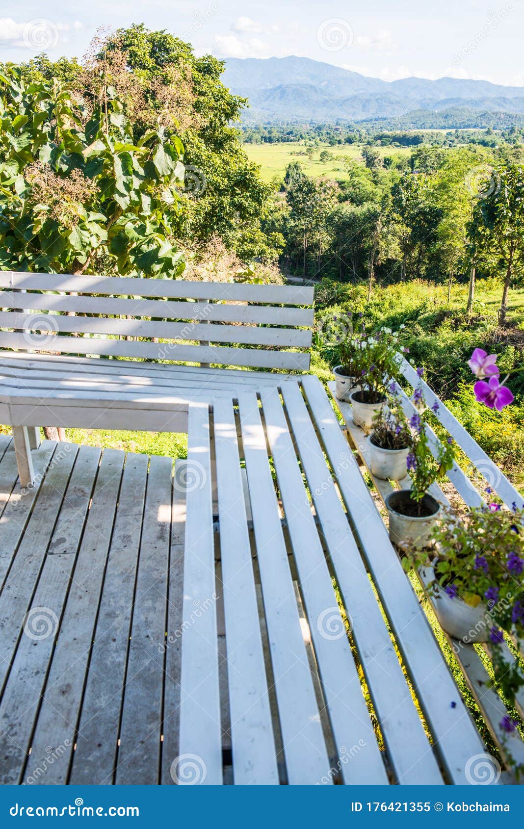 White Bench with Natural View Stock Image - Image of bench, city: 176421355