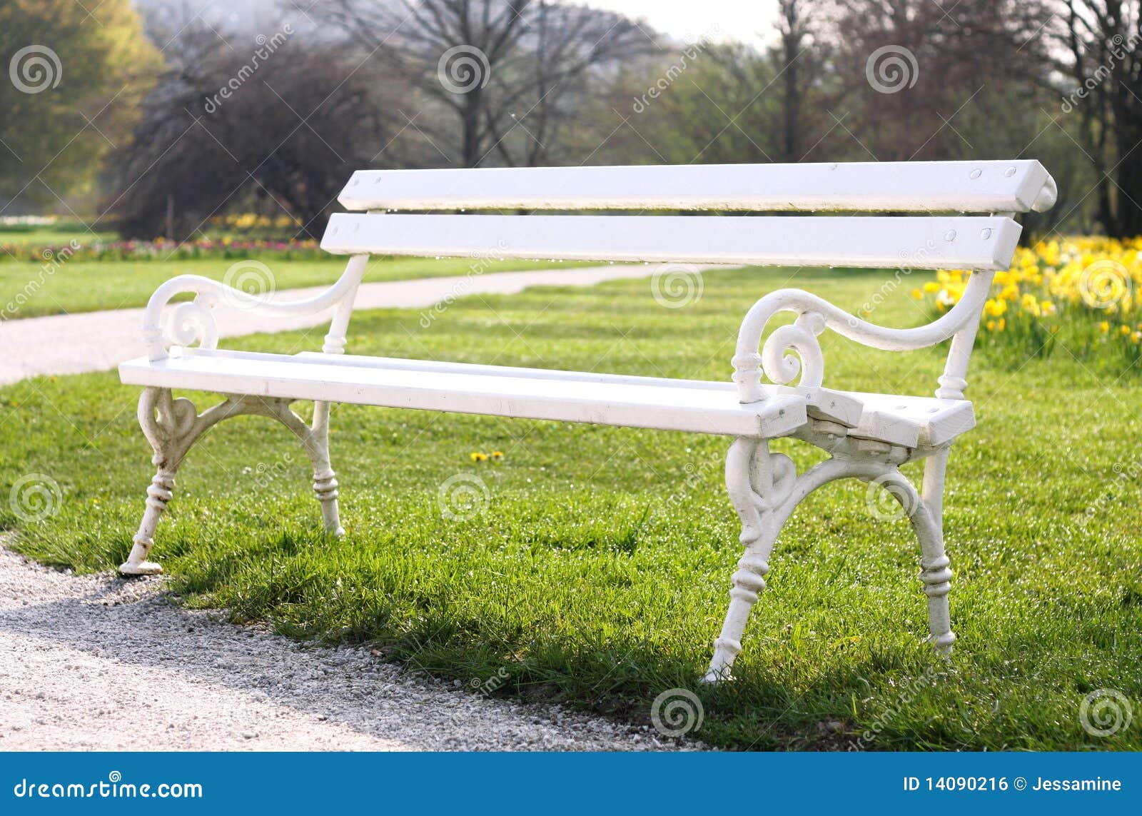 White bench in the park stock photo. Image of white, peace - 14090216