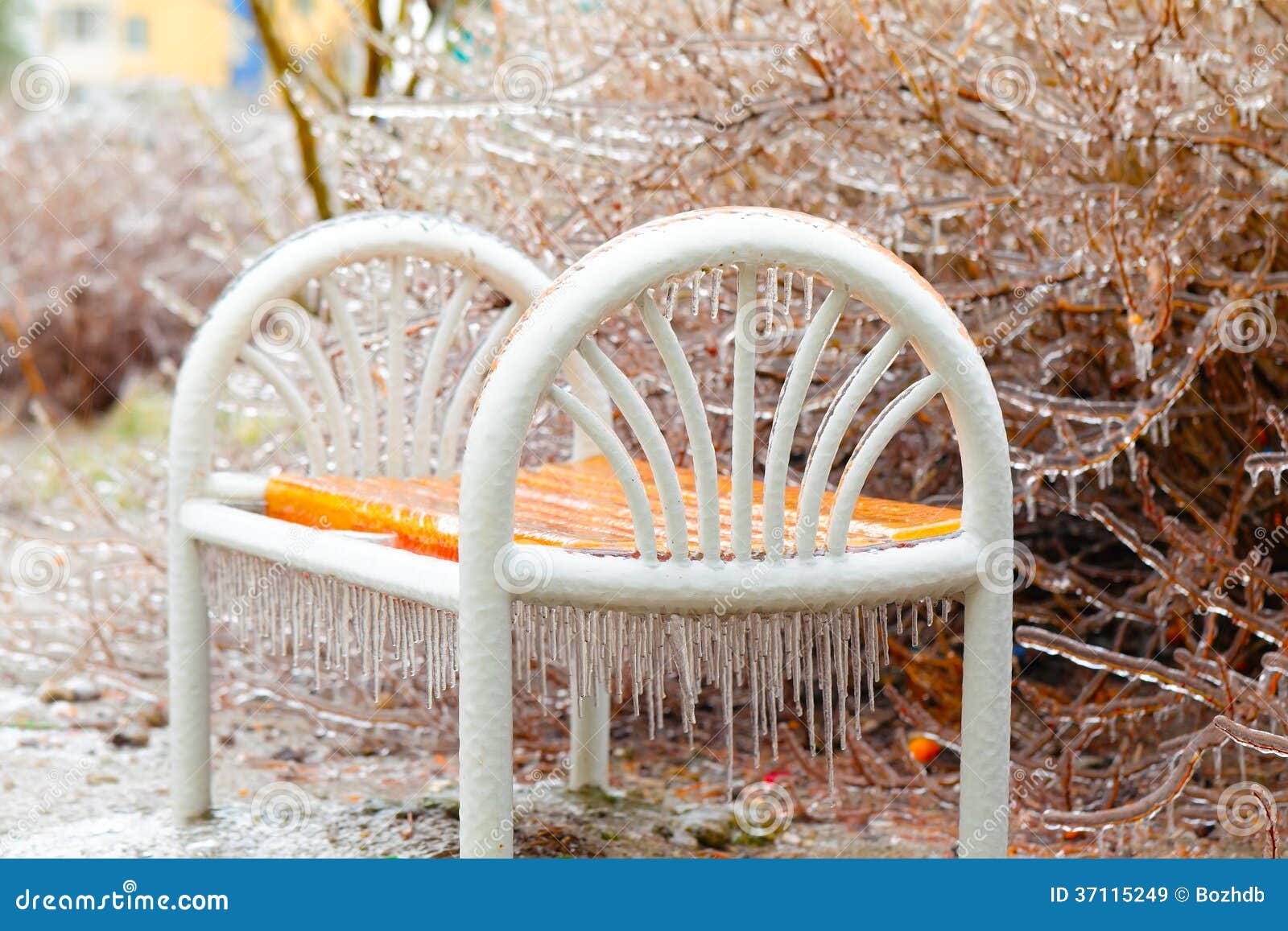 White Bench in a Park Covered with Ice Stock Image - Image of january ...