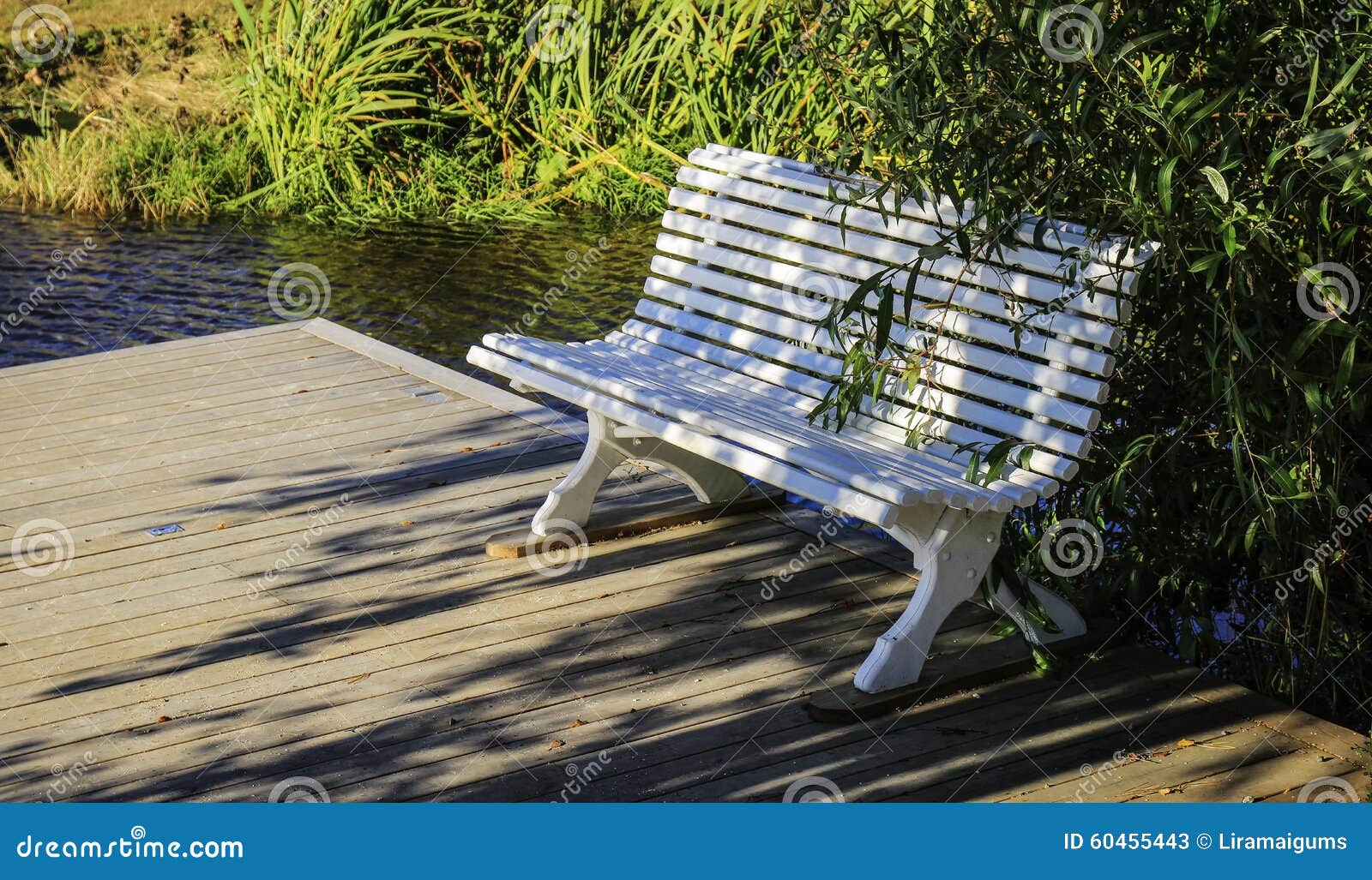 White bench in the shadow stock image. Image of lake - 60455443