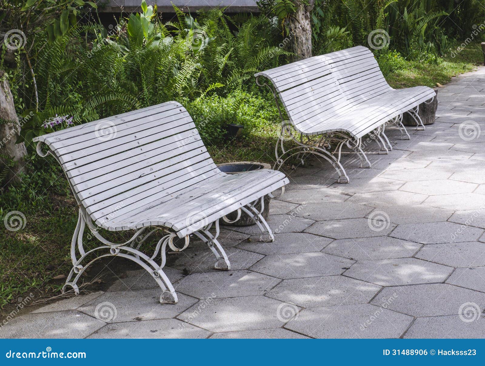 White Bench Under Tree on the Garden. Stock Photo - Image of wood ...