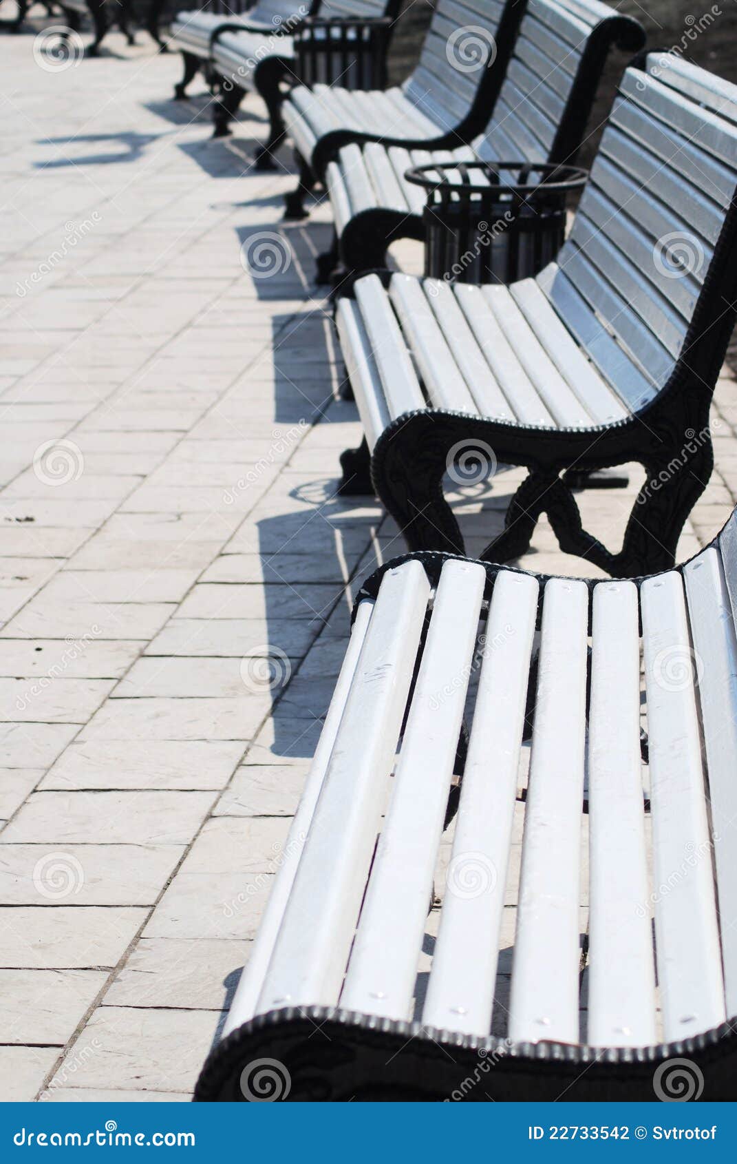 White Benches In A Park Royalty-Free Stock Image | CartoonDealer.com ...