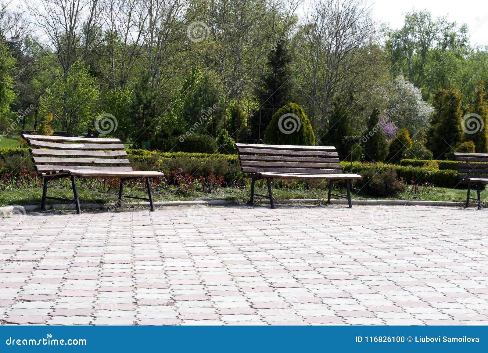 White Benches in the Park. Beautiful Park with White Benches Along the ...