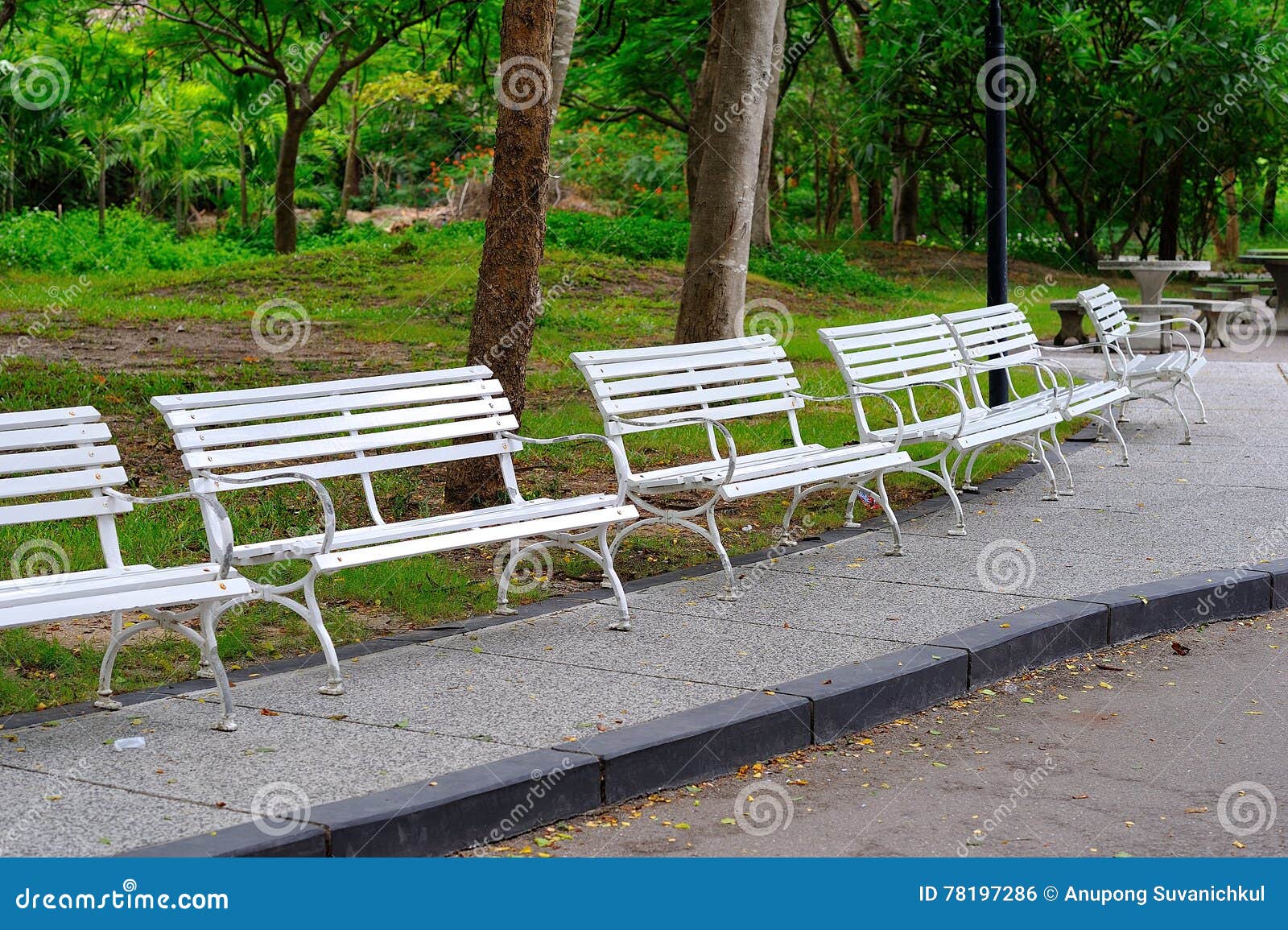 White benches in the park stock photo. Image of landscape - 78197286