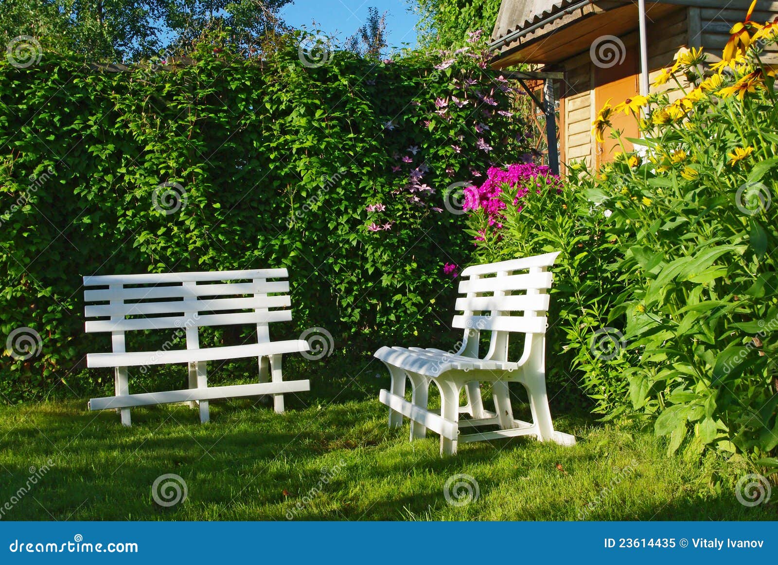 White Benches in a Secluded Corner Garden Stock Image - Image of ...