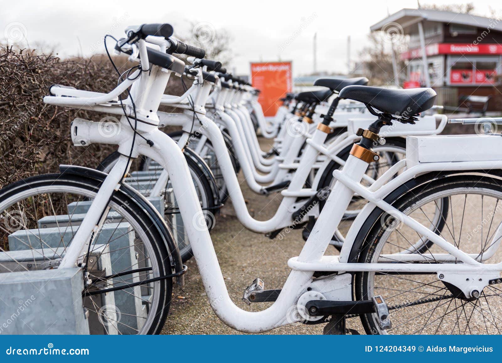 White bicycle editorial stock image. Image of bicycles - 124204349