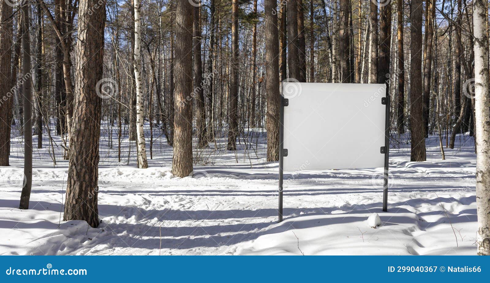 White Billboard in Winter Forest or Park. Advertising Stand among Trees ...