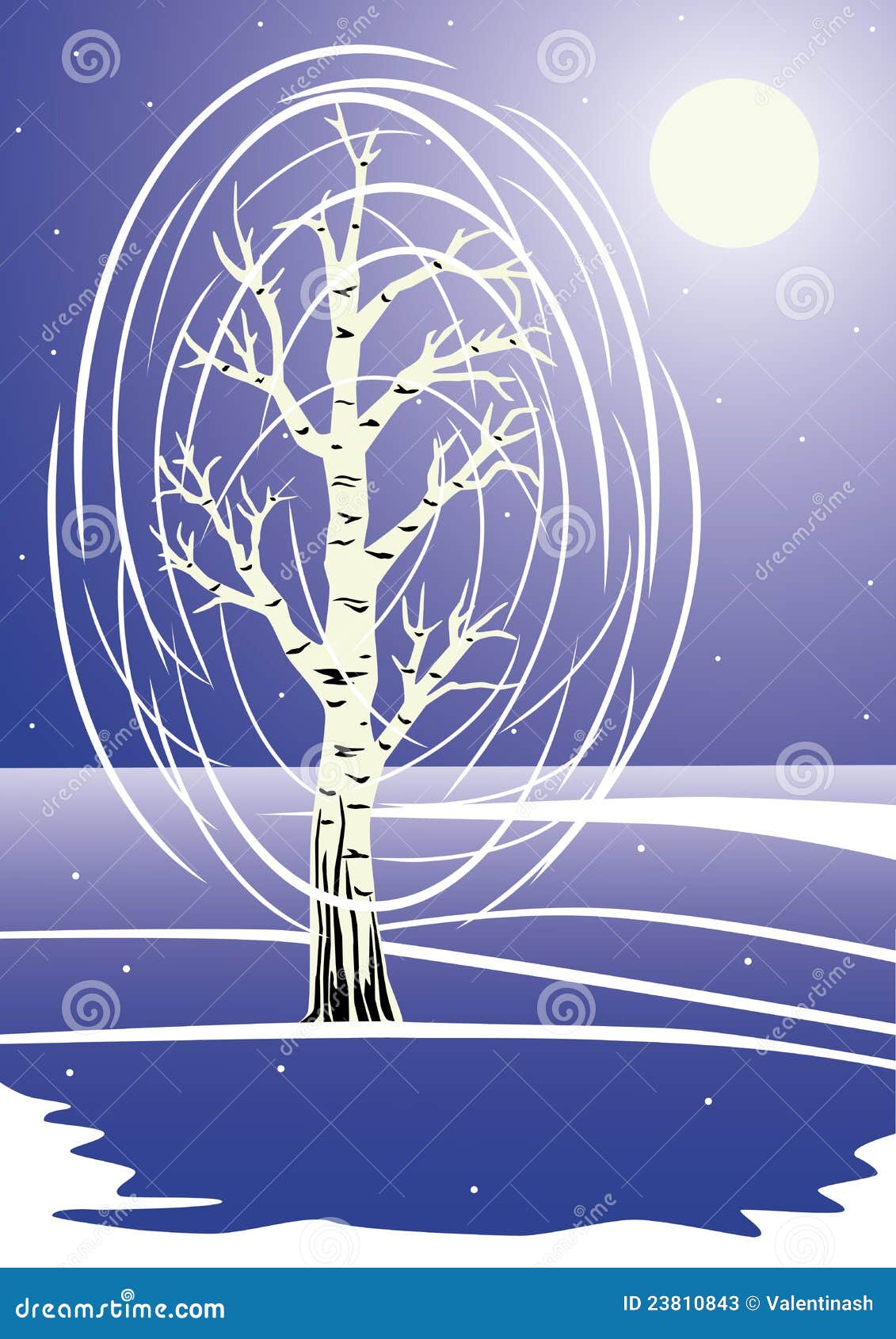 White birch stock vector. Illustration of birch, moon - 23810843