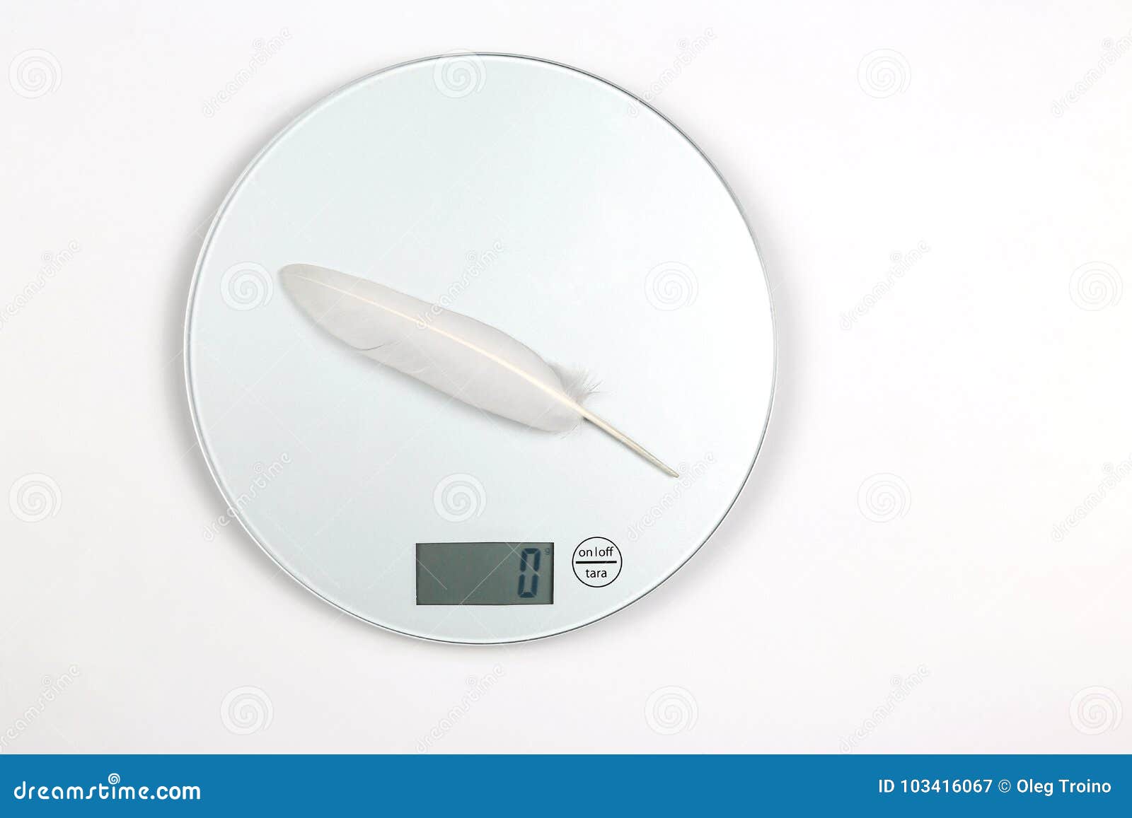 White Bird Feather is Weighed on a Digital Scale Stock Image - Image of ...