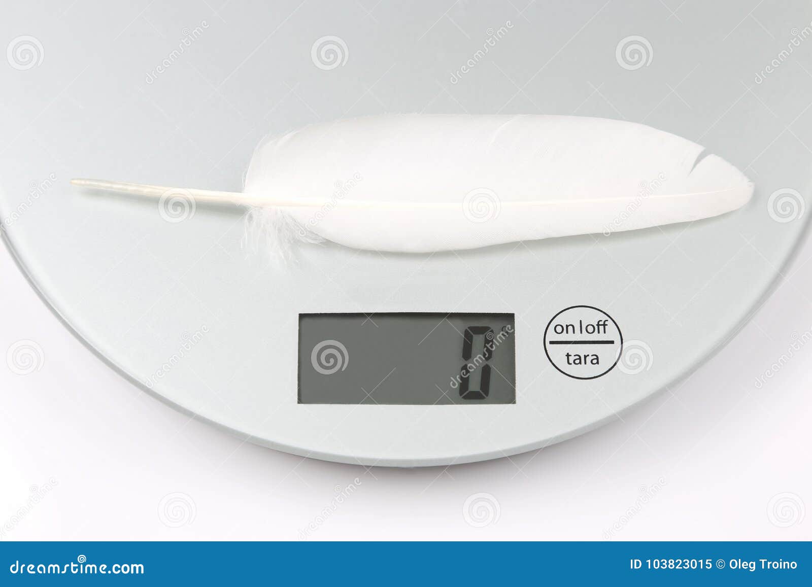 White Bird Feather is Weighed on a Digital Scale Stock Image - Image of ...