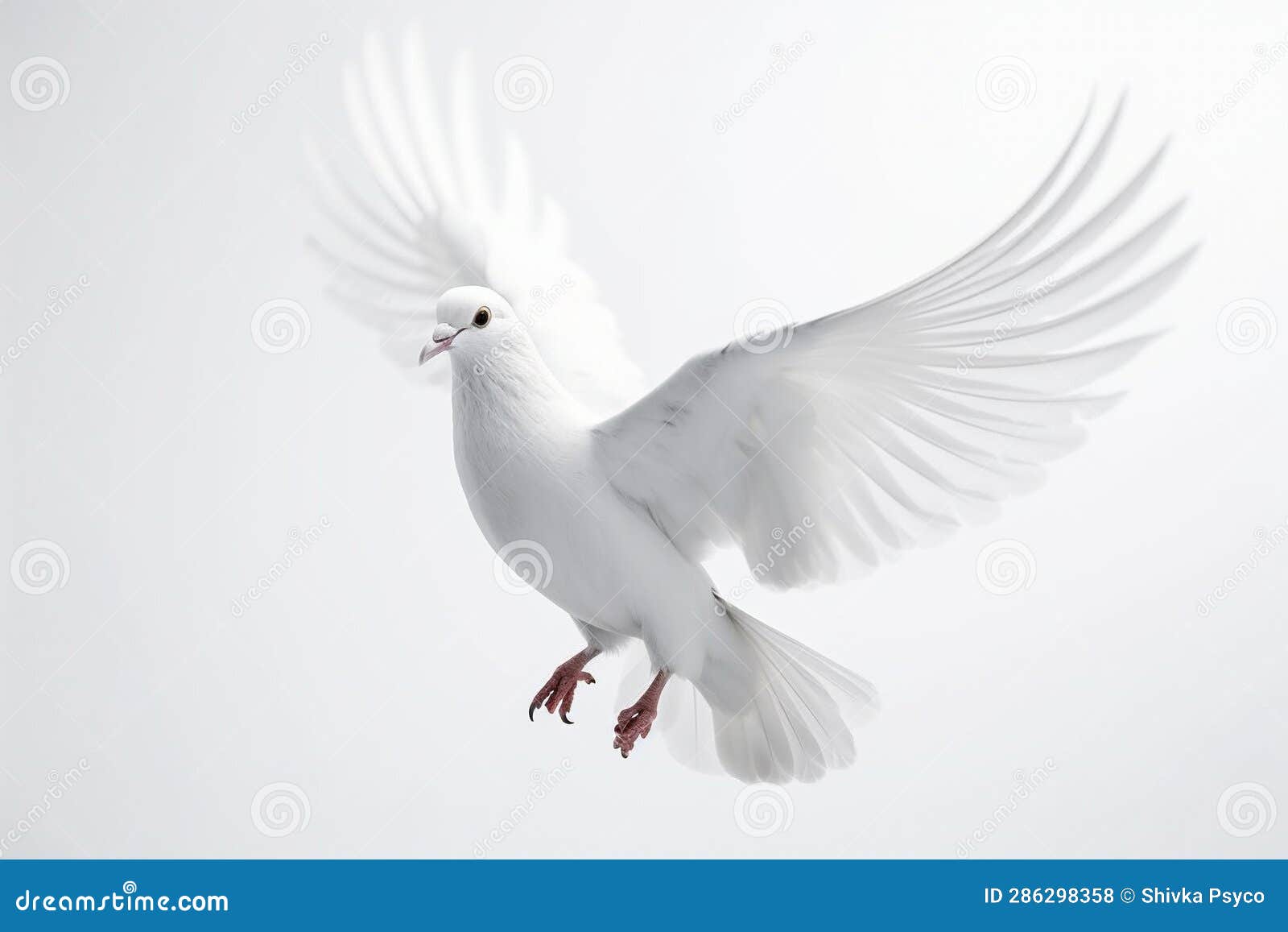 White Bird Flying on White Background Generative AI Stock Illustration ...