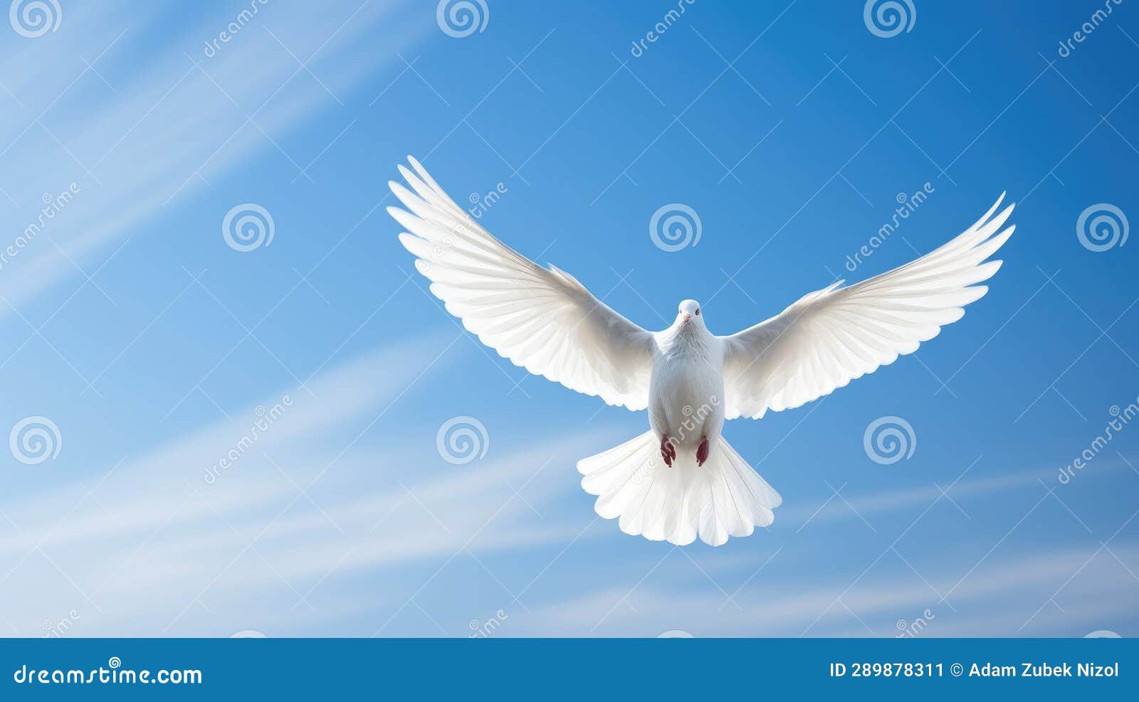 A White Bird Flying in the Sky Stock Illustration - Illustration of ...