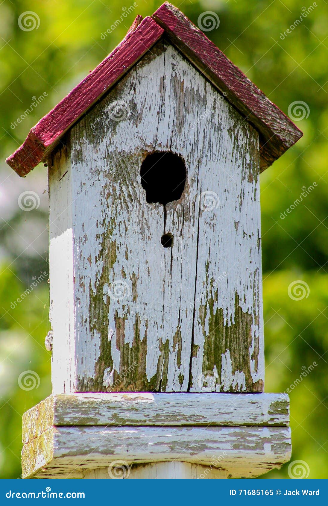 White Birdhouse stock image. Image of branch, birdhouse - 71685165