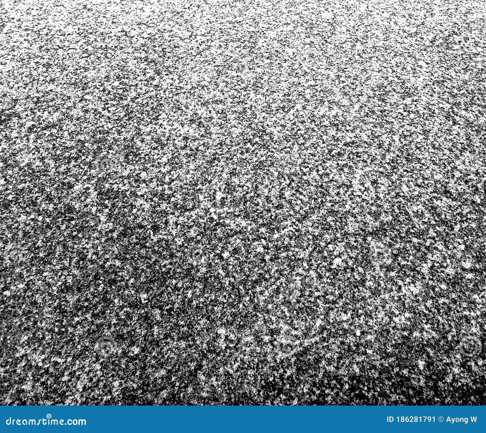 White and Black are the Base of Every Colour Stock Image - Image of ...