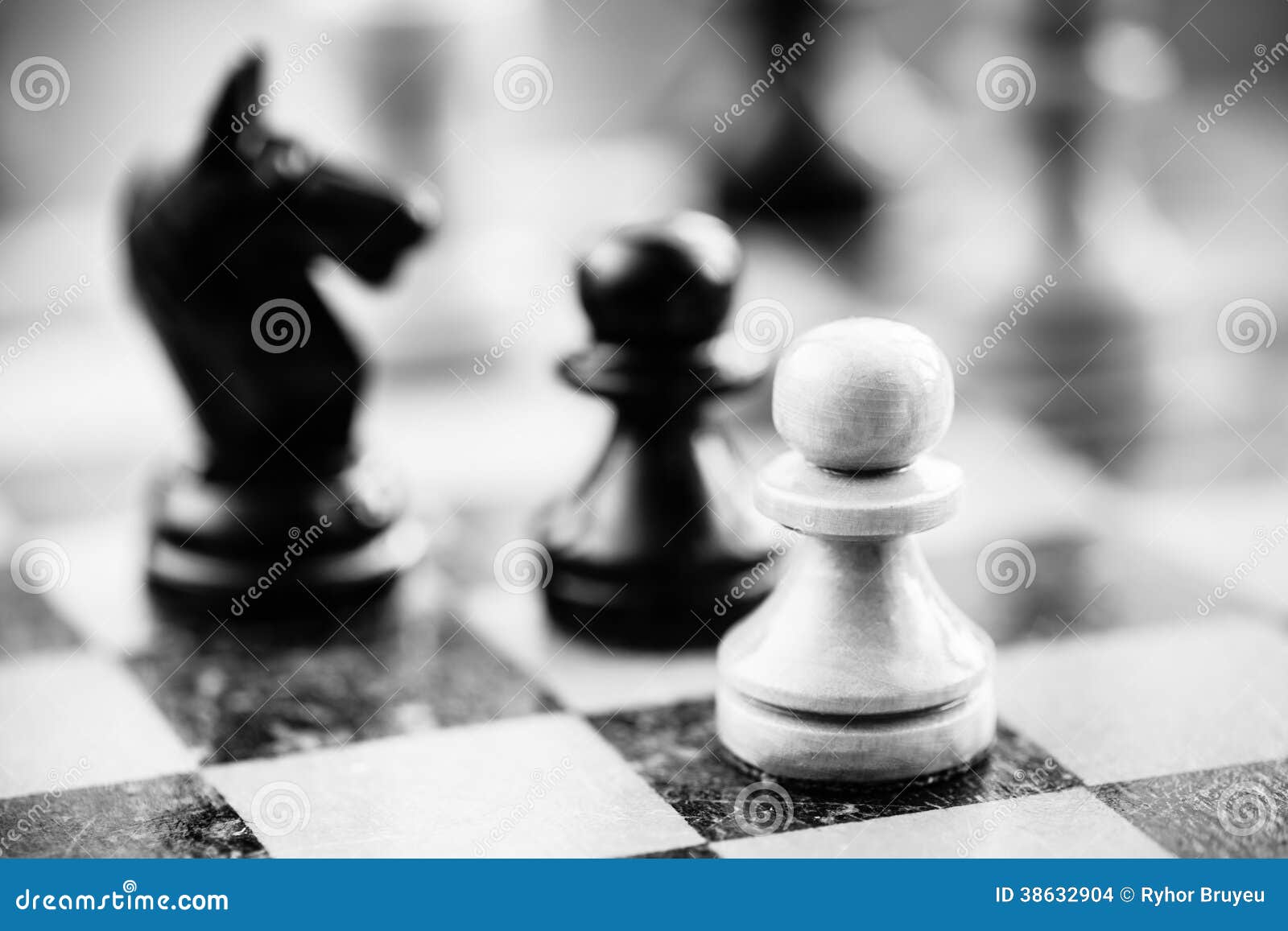 White Black Chess Pawns, Knight Stock Photo - Image of competitive ...