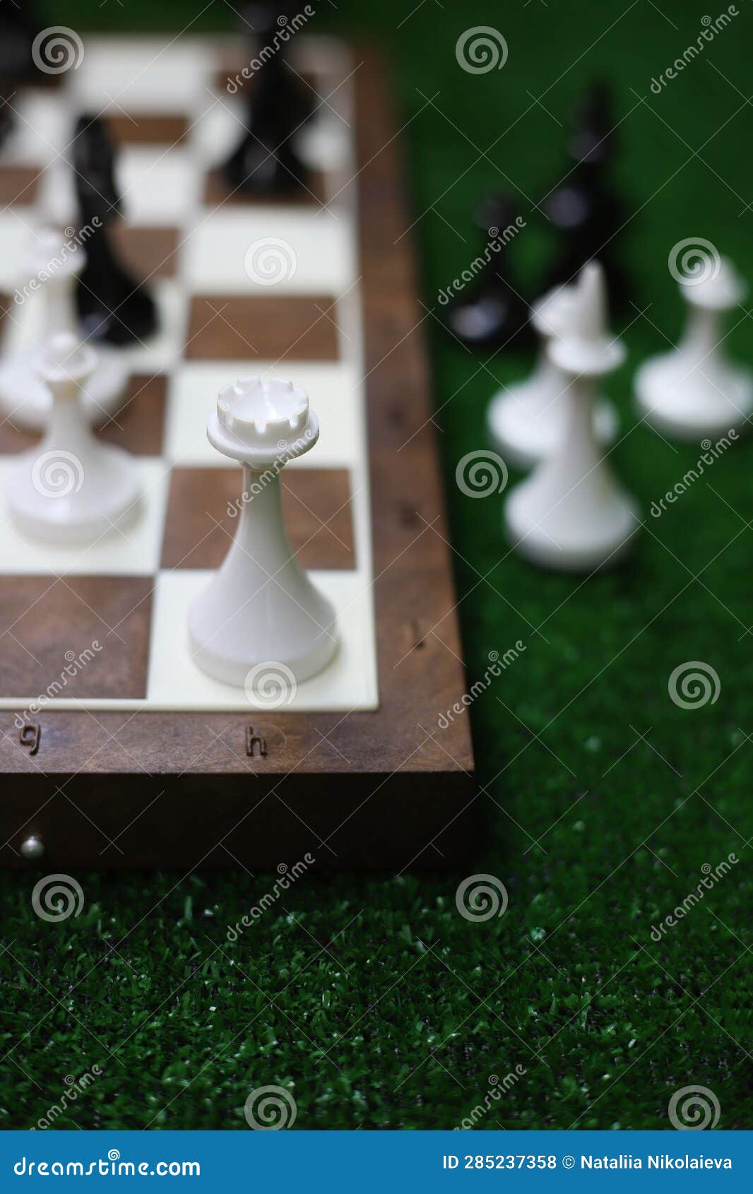White and Black Chess Pieces Stand on a Chessboard Stock Photo - Image ...