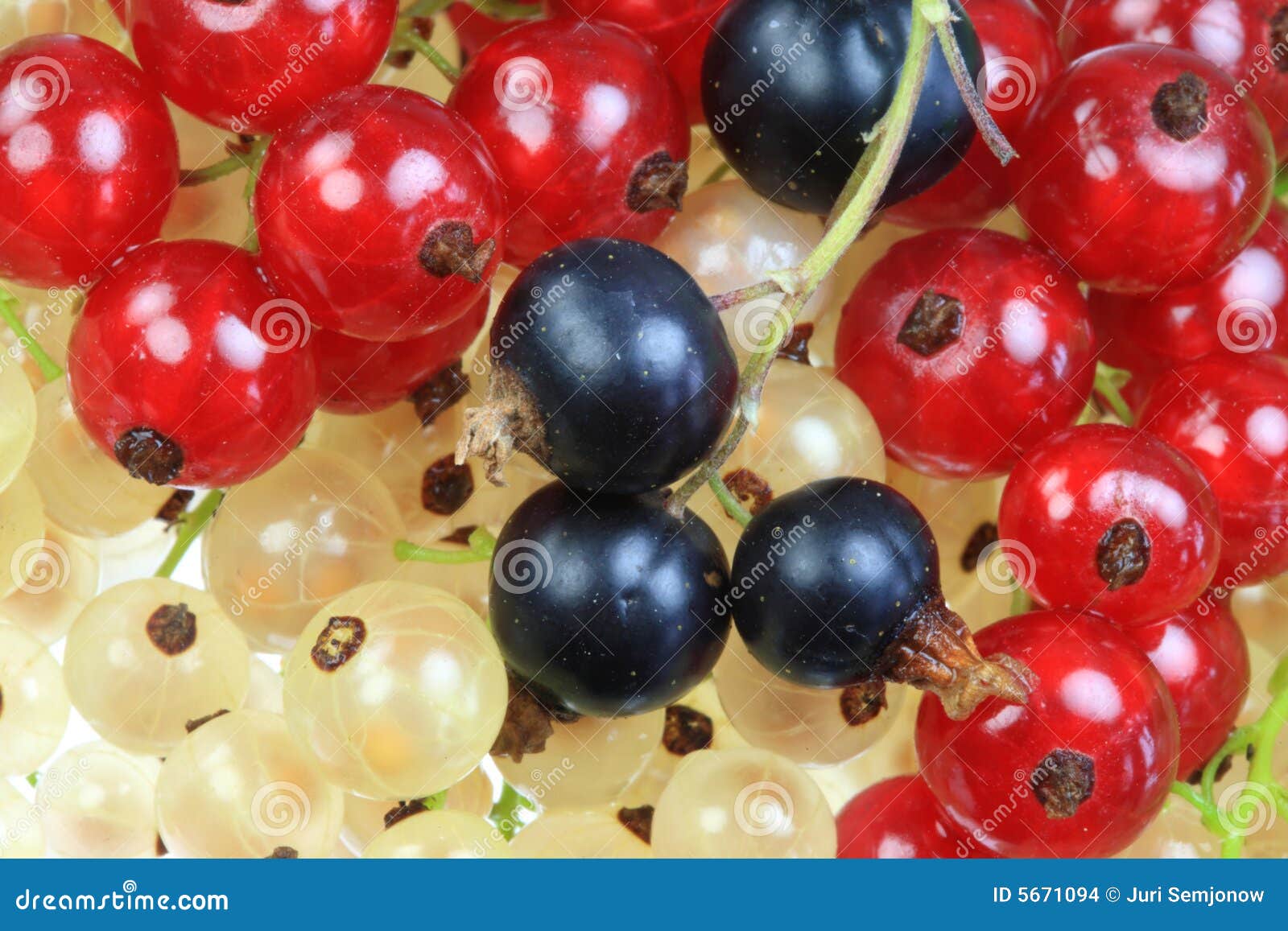 White, Black and Red Currants. Stock Photo - Image of ripe, berries ...