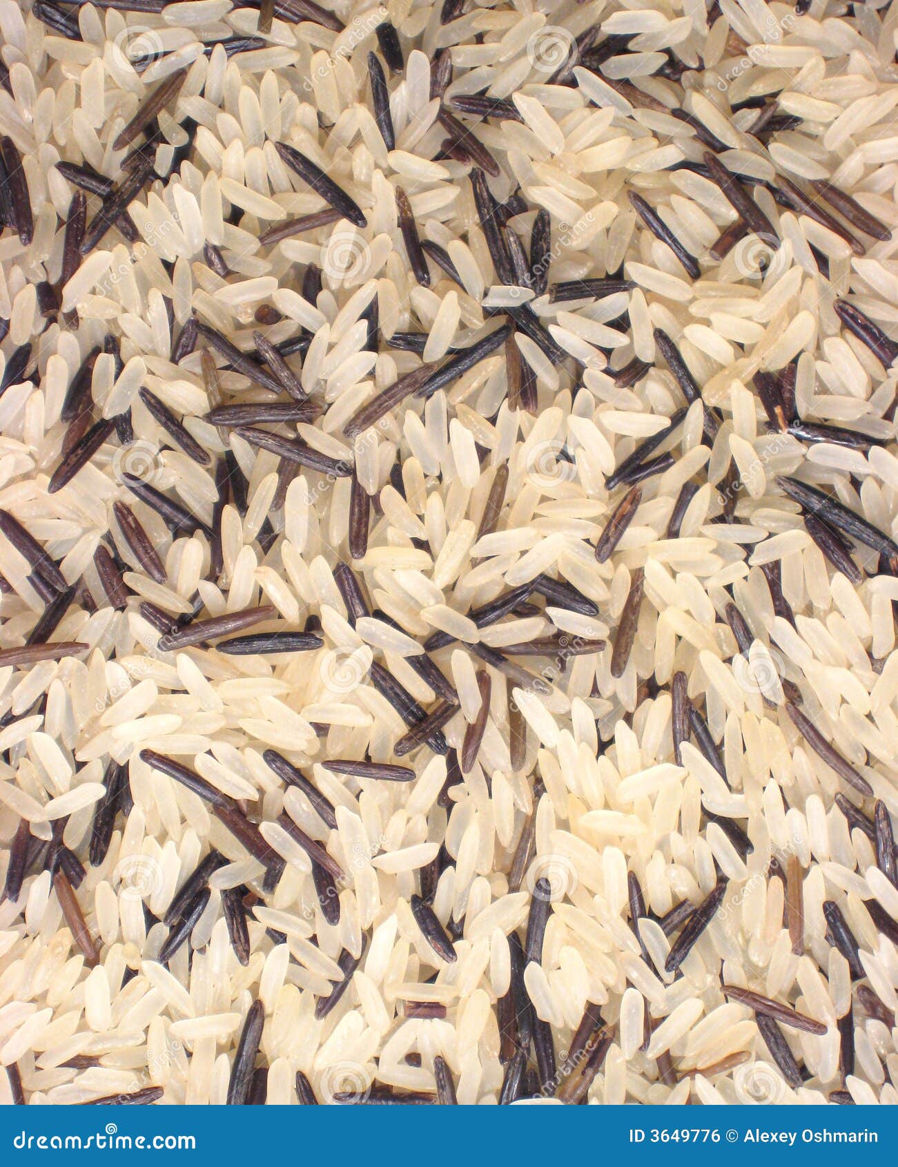 White and black rice stock photo. Image of chinese, east - 3649776