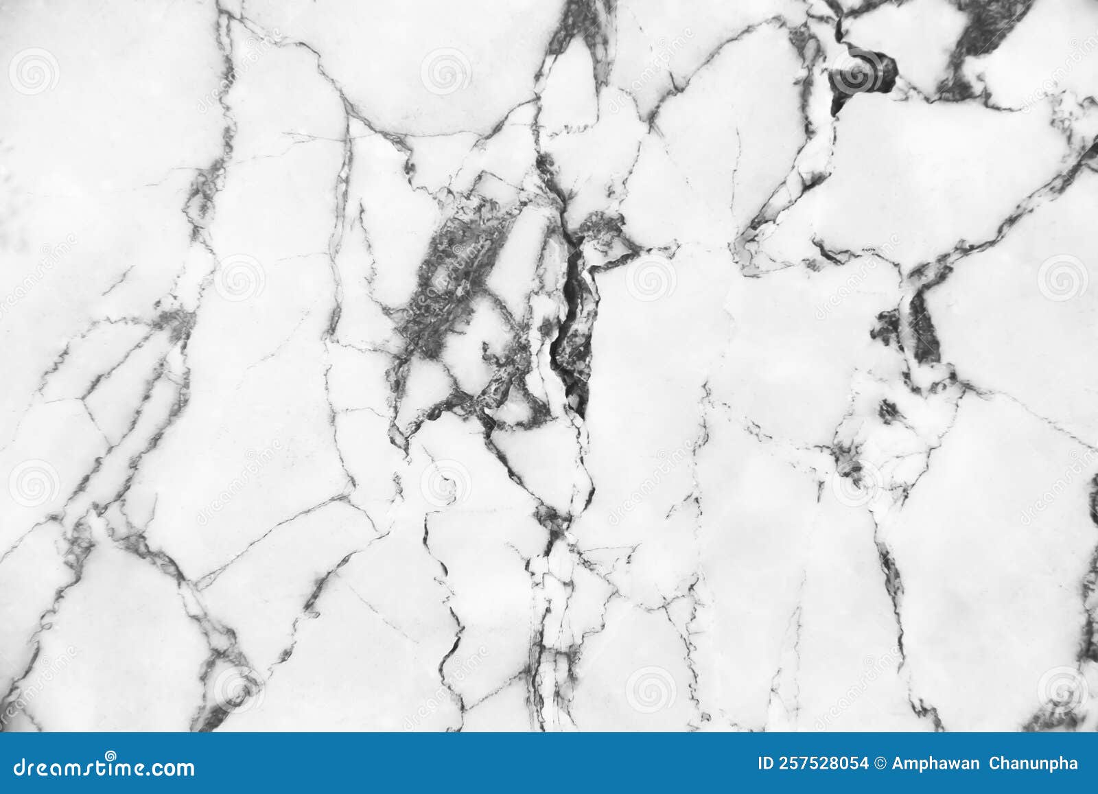 White with Black Vein Marble Texture with High Resolution Abstract ...