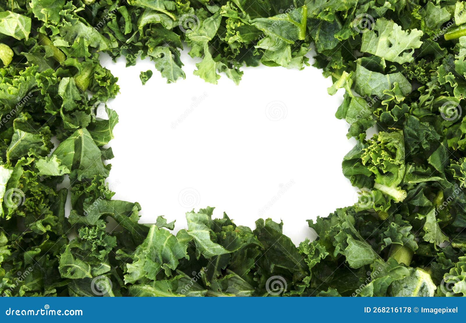 White Blank Kale Vegetable Frame Stock Photo - Image of antioxidant ...