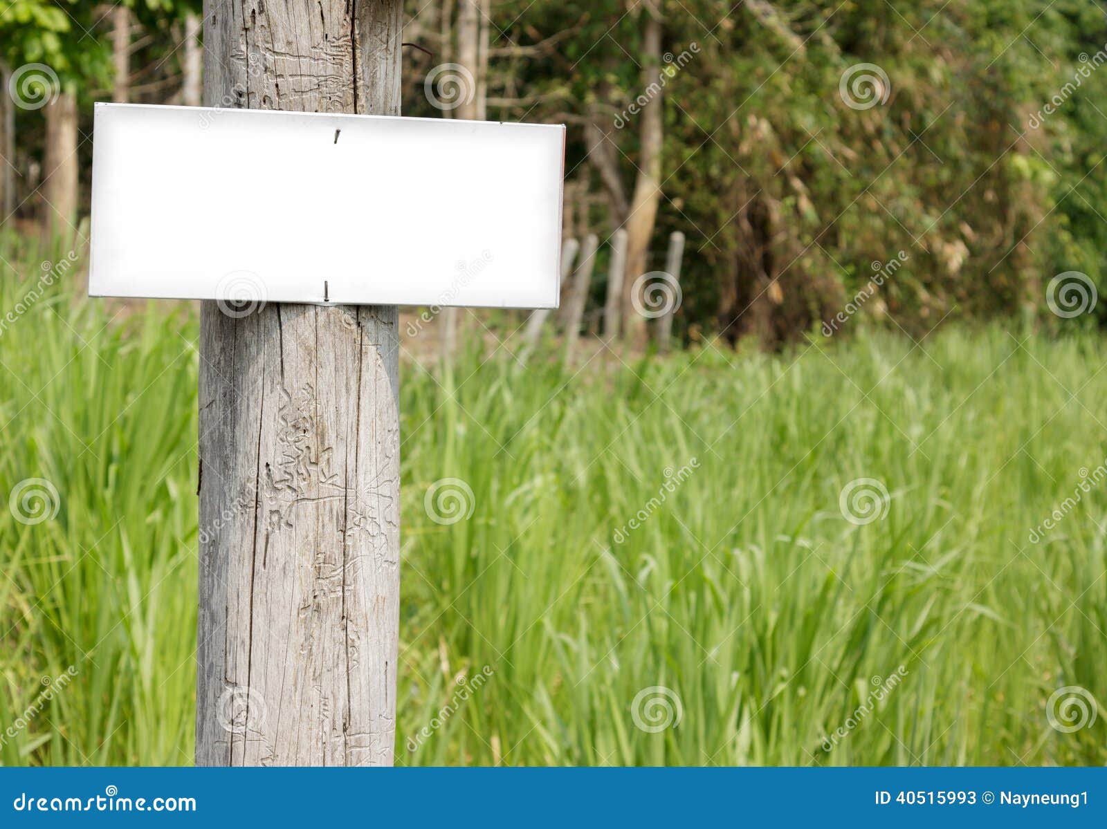 White Blank Signboard in the Meadow. Stock Image - Image of copyspace ...