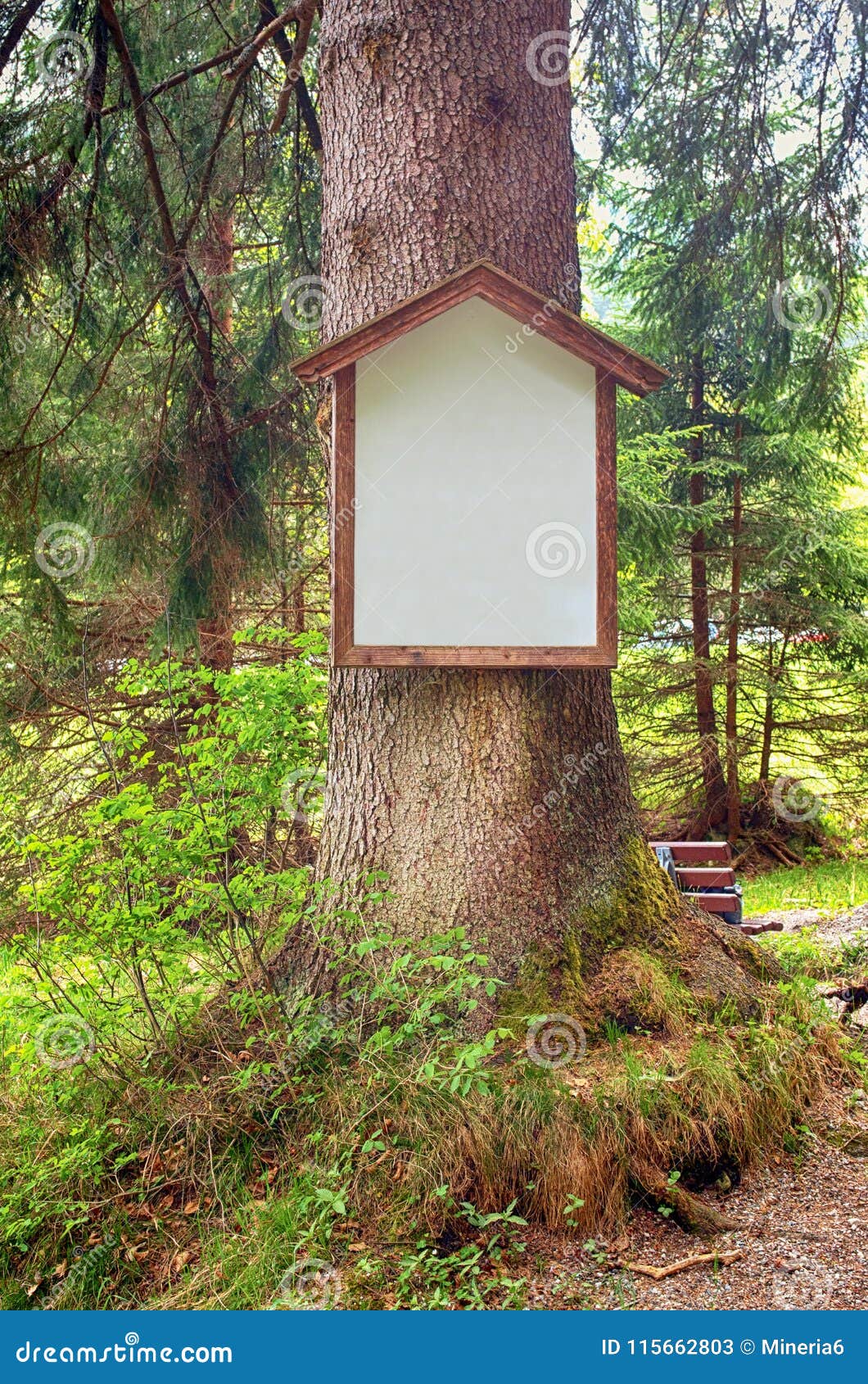 Wooden Sign in Spring Forest Stock Image - Image of spring, empty ...