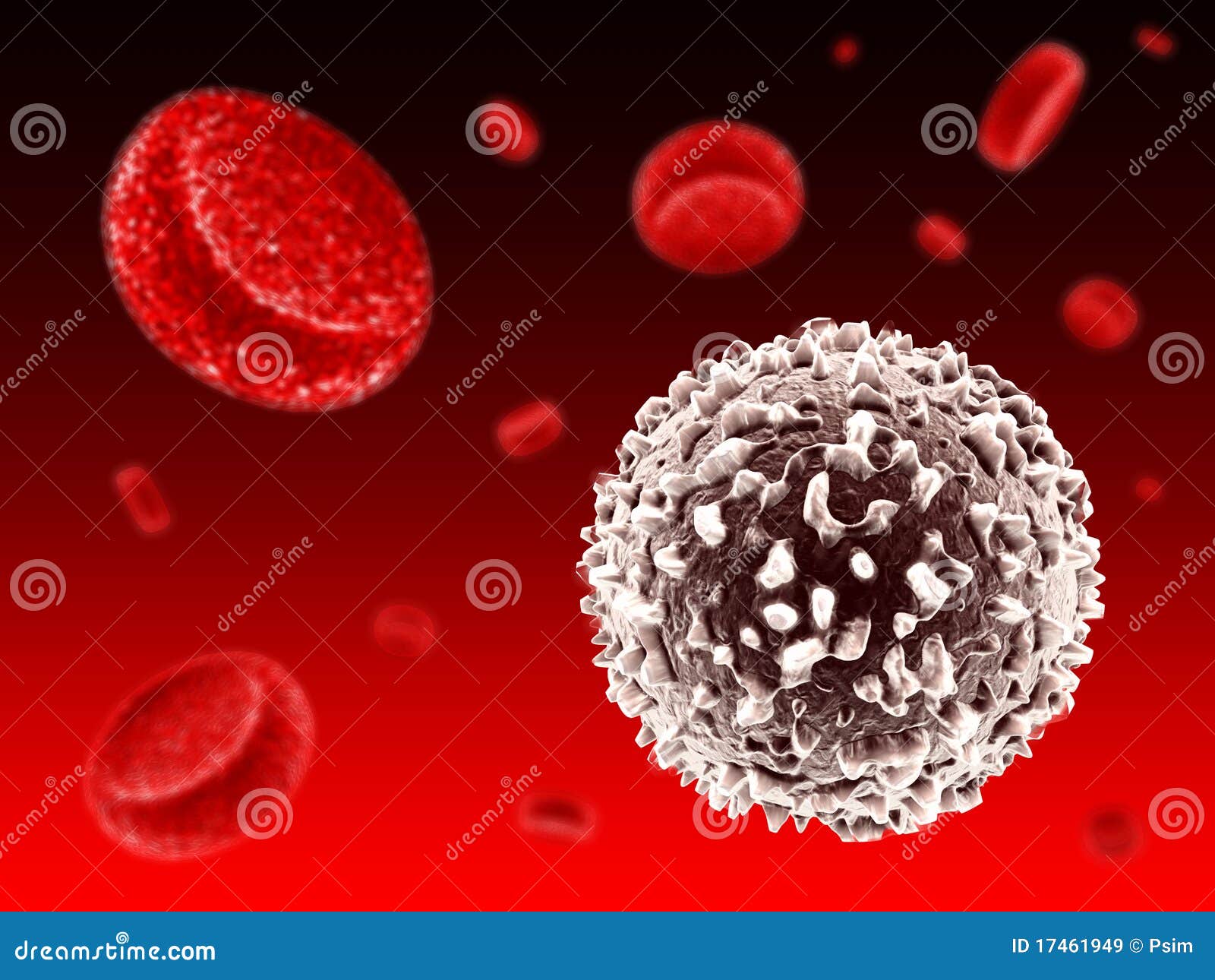 White blood cell stock illustration. Illustration of leukocyte - 17461949