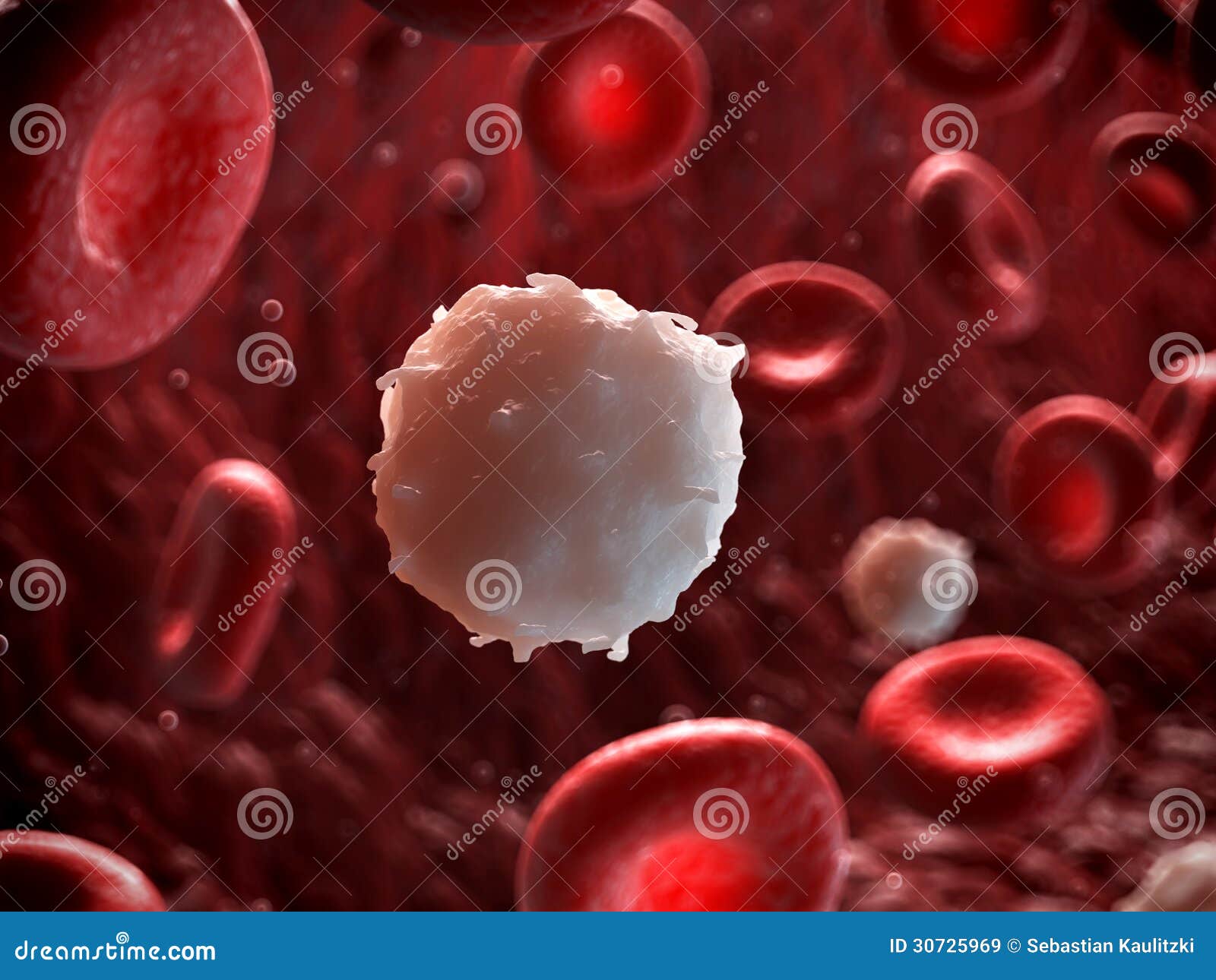White Blood Cells Cartoon Vector | CartoonDealer.com #3537749