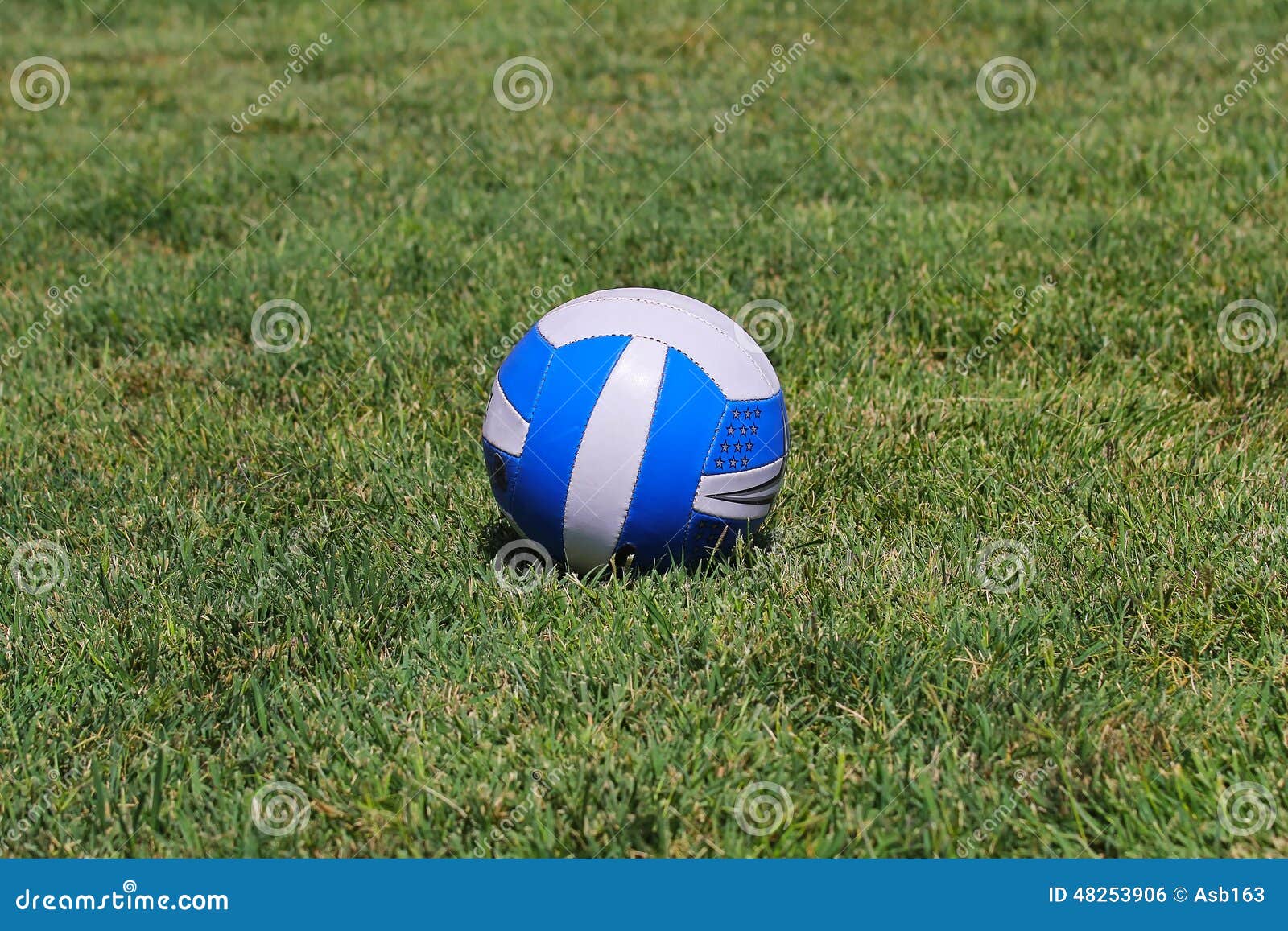 White and Blue Ball on the Grass Stock Photo - Image of outdoor, team ...