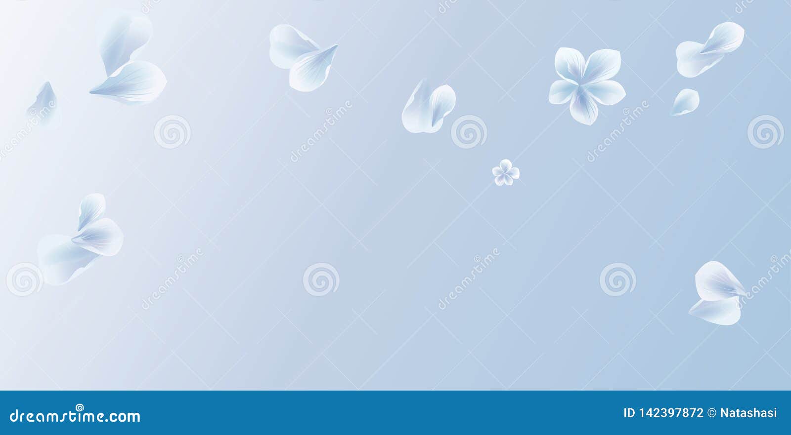 White Blue Flying Flower And Petals Isolated On Light Blue Gradient ...