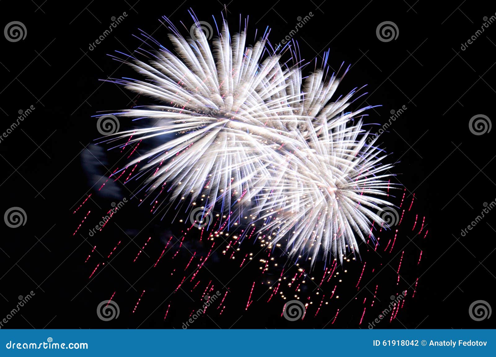 White Blue Red Amazing Fireworks on Dark Background Close Up. Stock ...