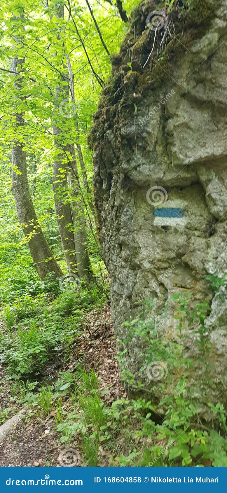 White and Blue Tourist Sign on a Rock Stock Photo - Image of hiking ...